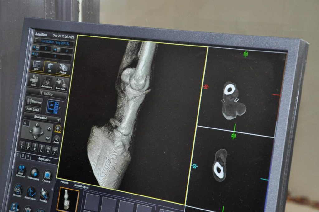 Official Veterinarian Palm Beach Equine Clinic Announces Addition of ...