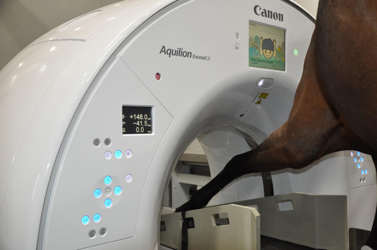 Official Veterinarian Palm Beach Equine Clinic Announces Addition of ...