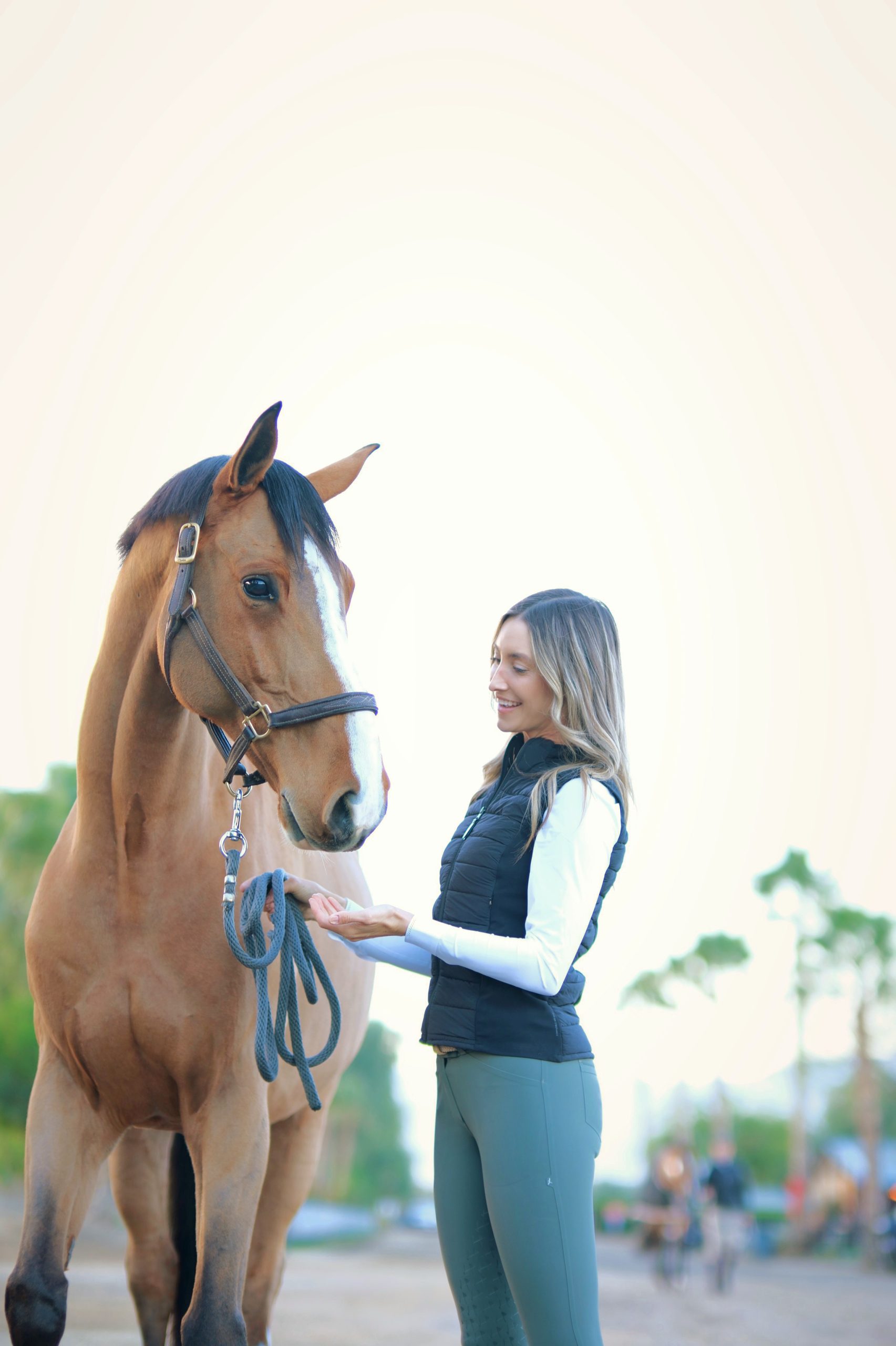Building a Program of Horses Who Make Great Partners - The Plaid Horse ...