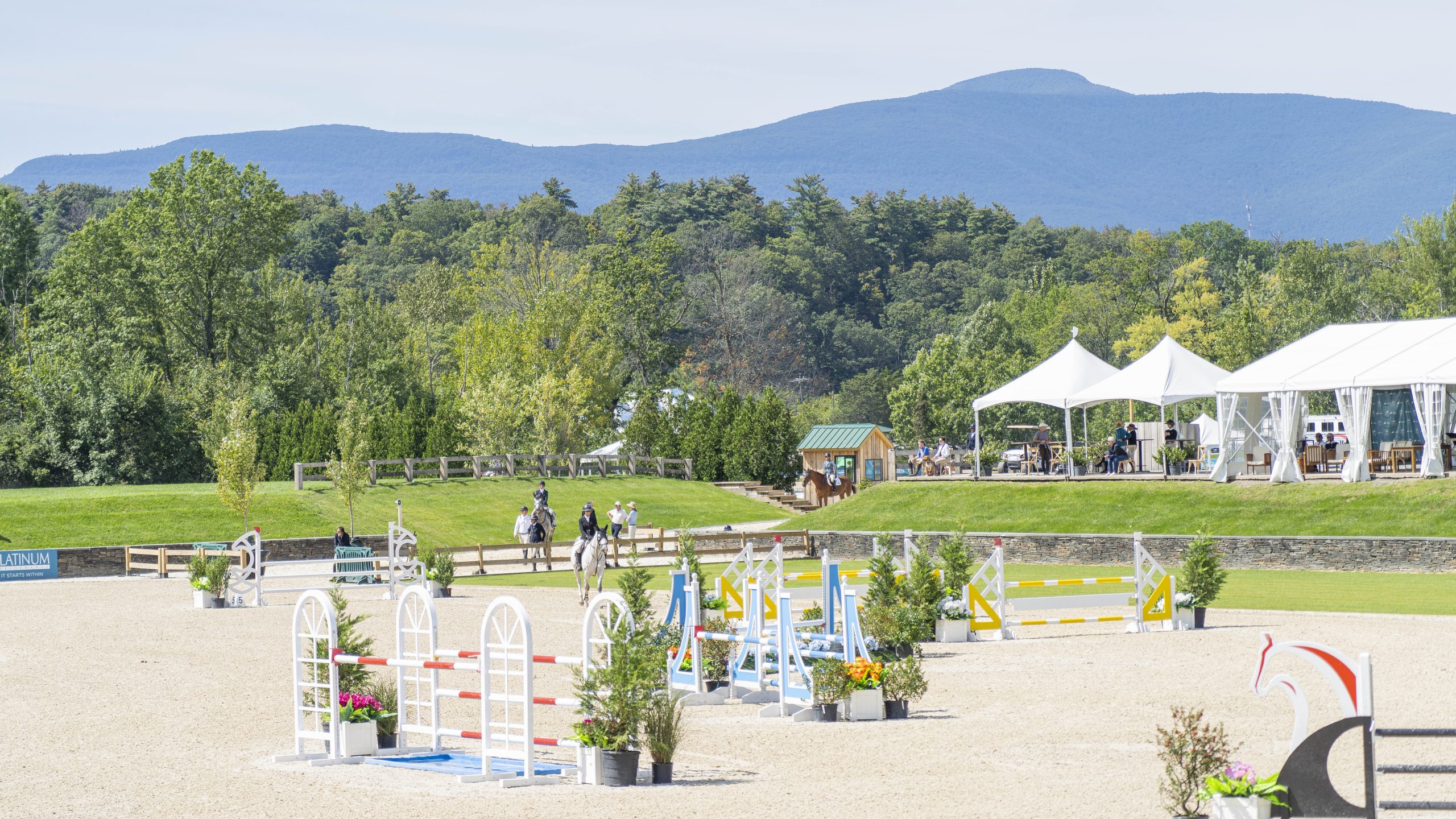 Plaidcast 364: Dr. Tim Worden, PhD & Dr. David Woznica by Taylor ...