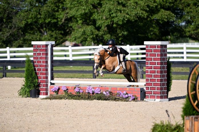 New for 2024: World Equestrian Center – Wilmington Offers Affordable ...