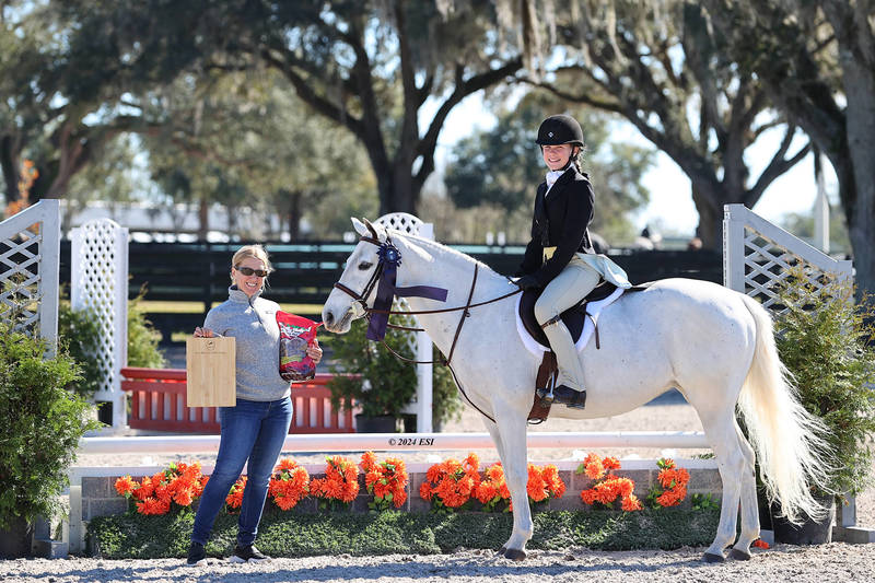 Sam Meadows Seizes Win in $5,000 USHJA National Hunter Derby - The ...