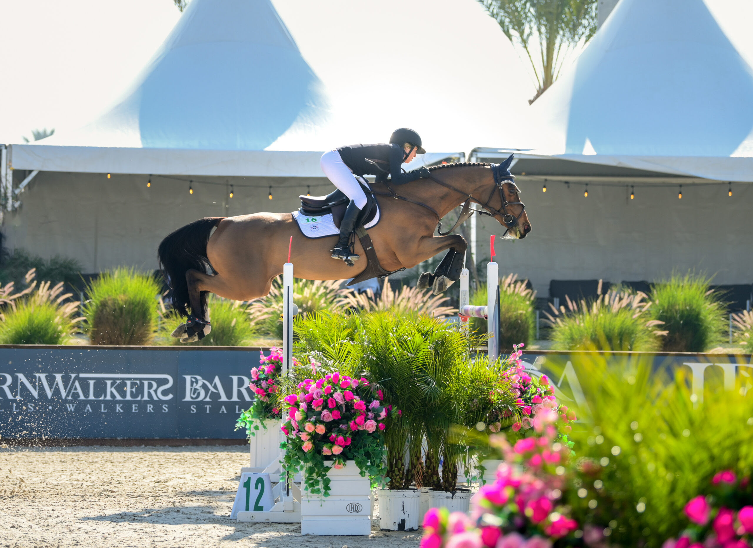 Bonita VH Keizershof Z and Ali Ramsay Sprout Wings in $32,000 1.50m ...