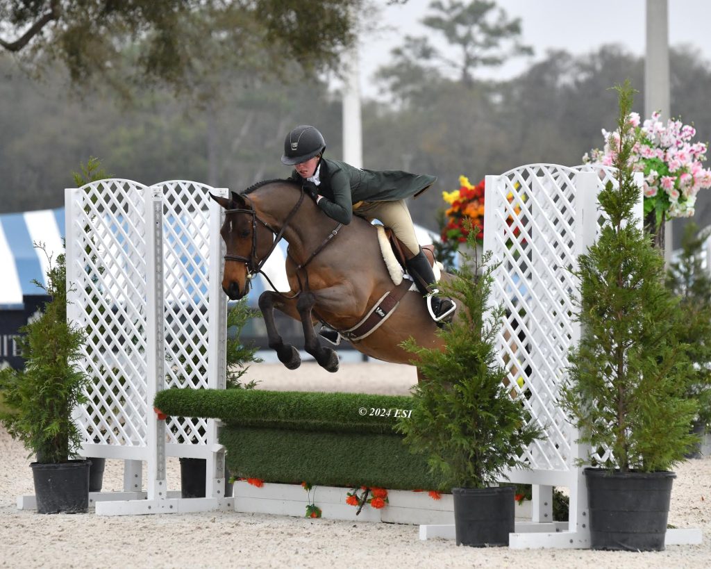 Genuine and Comissario Claim Top Ribbons in $5,000 USHJA National ...