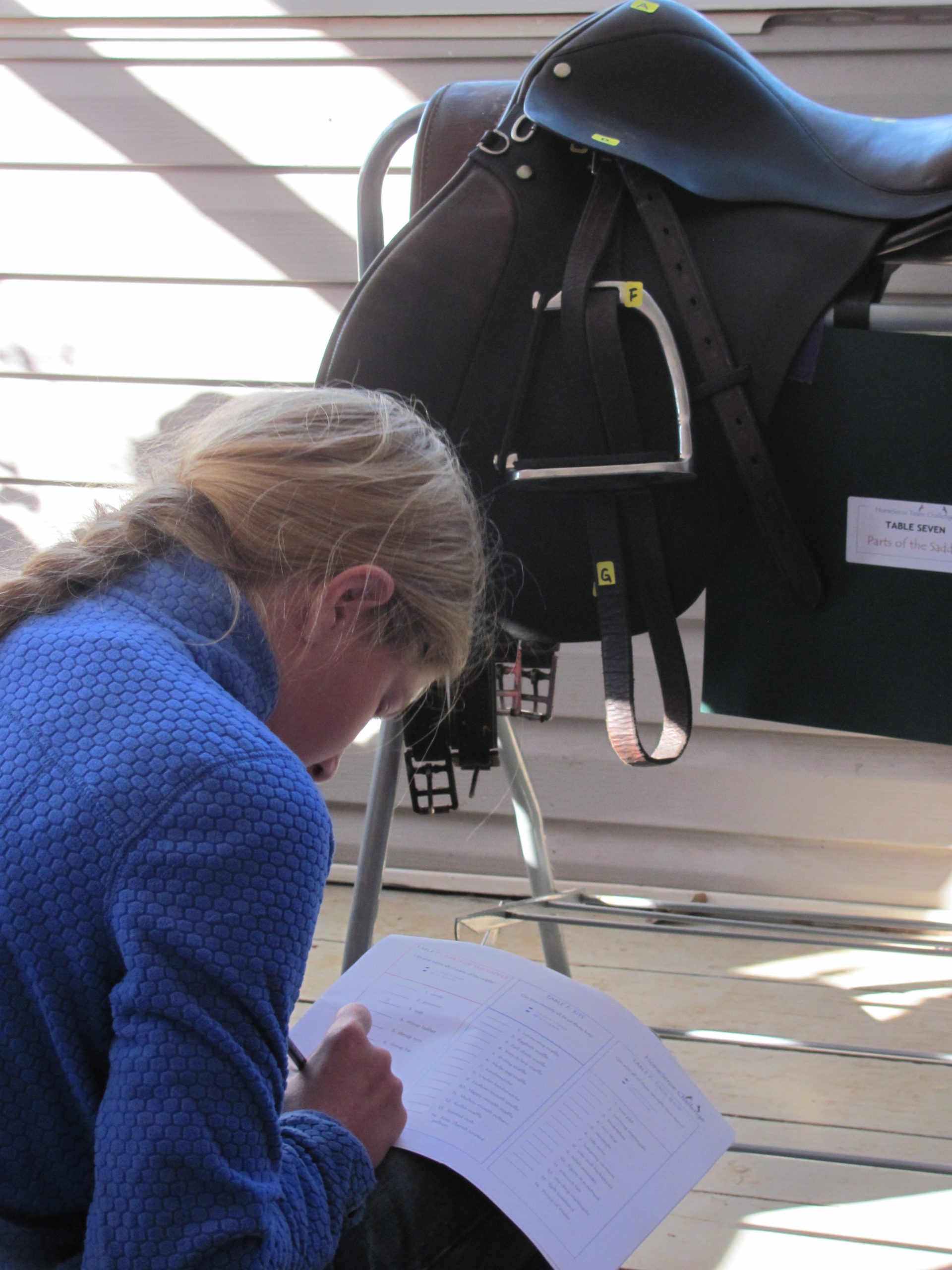 Get to Know HorseSense Learning Levels - The Plaid Horse Magazine