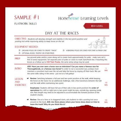 Get to Know HorseSense Learning Levels - The Plaid Horse Magazine