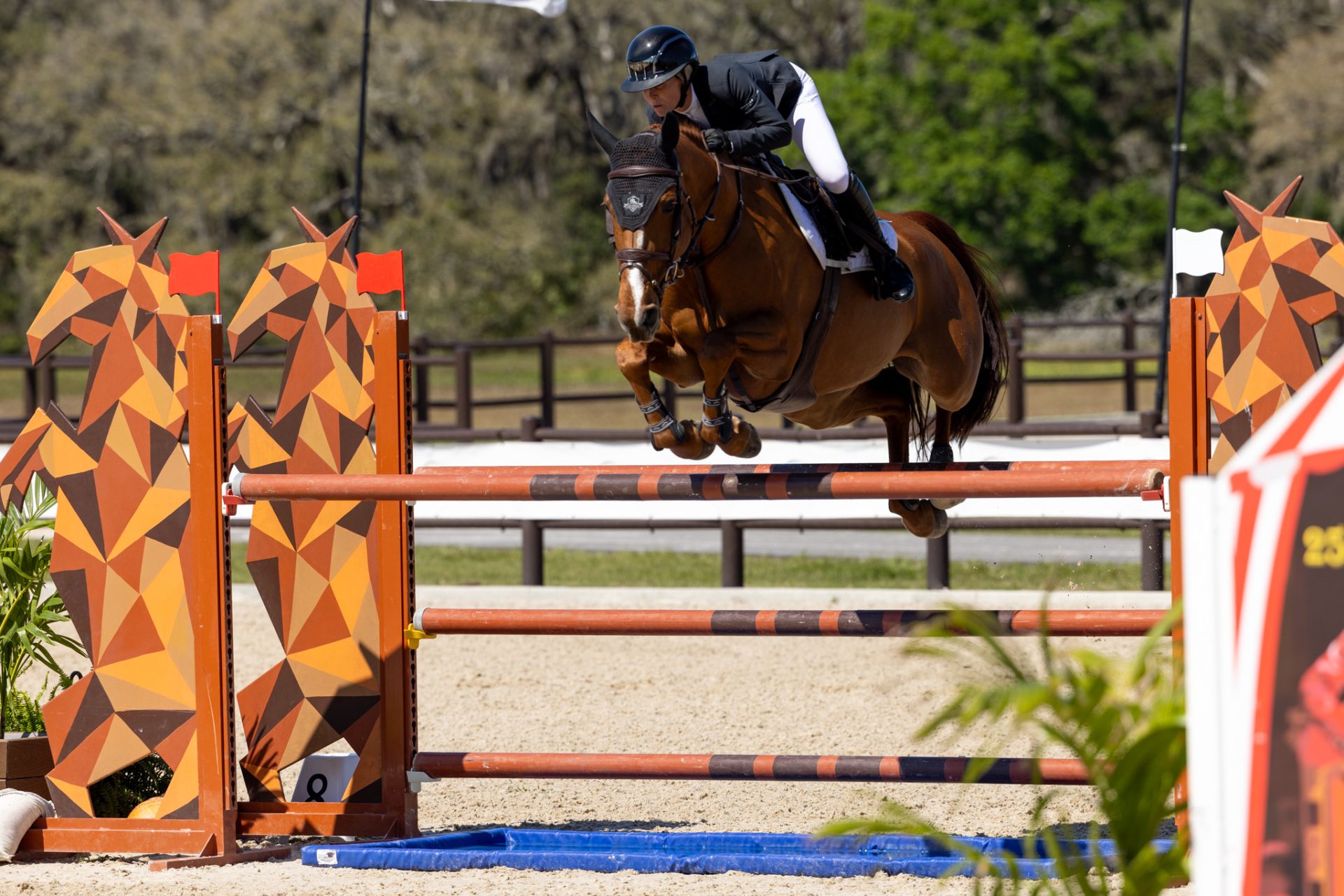 Chili and Olympic Gold Medalist Rodrigo Pessoa Earn the Blue in $65,000 ...