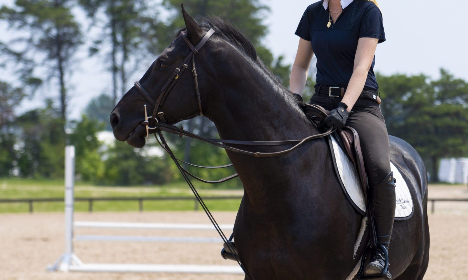 Trainer Tuesday: What is one piece of equipment you think is overused ...