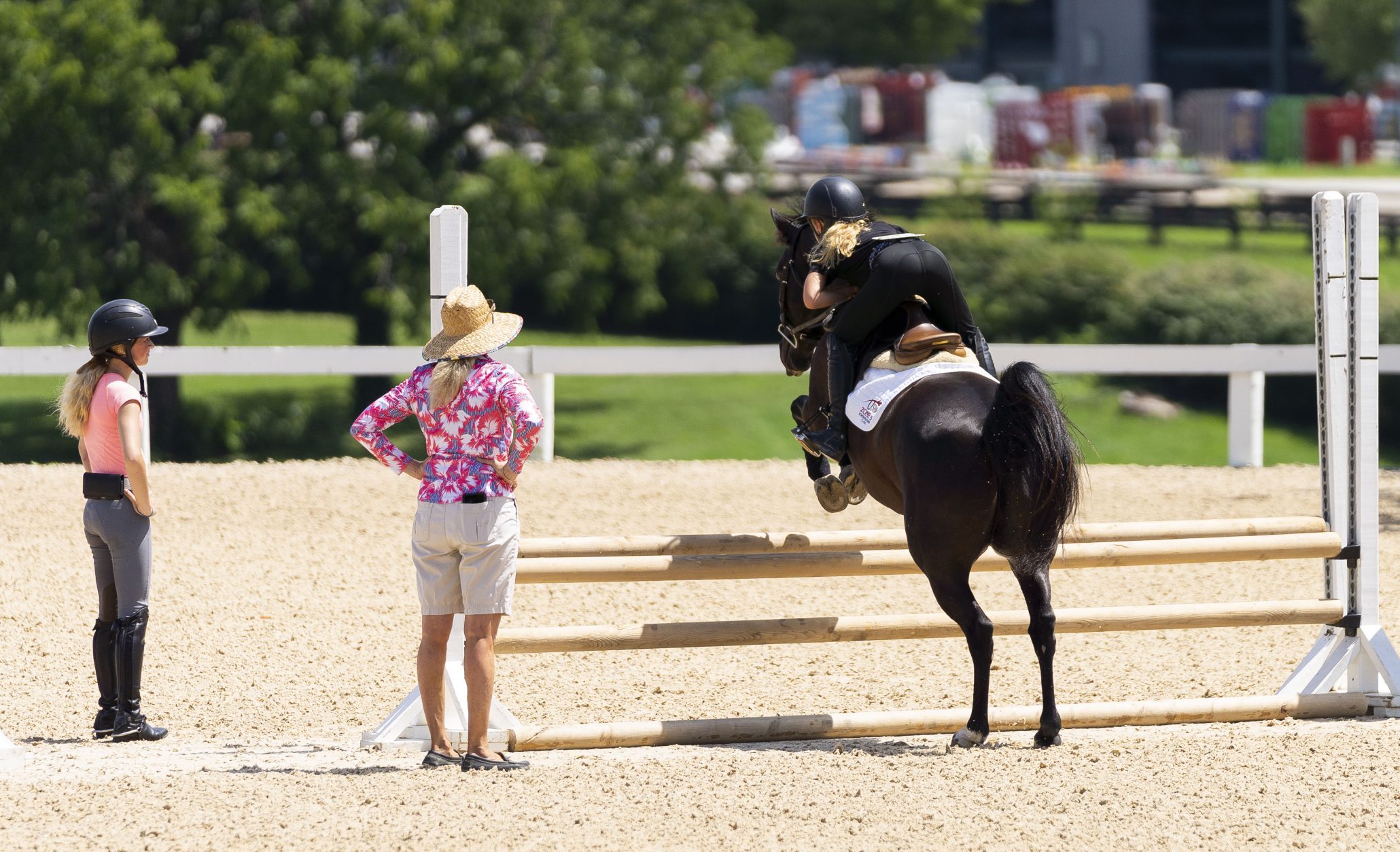 Trainer Shopping: A Mom’s Perspective - The Plaid Horse Magazine