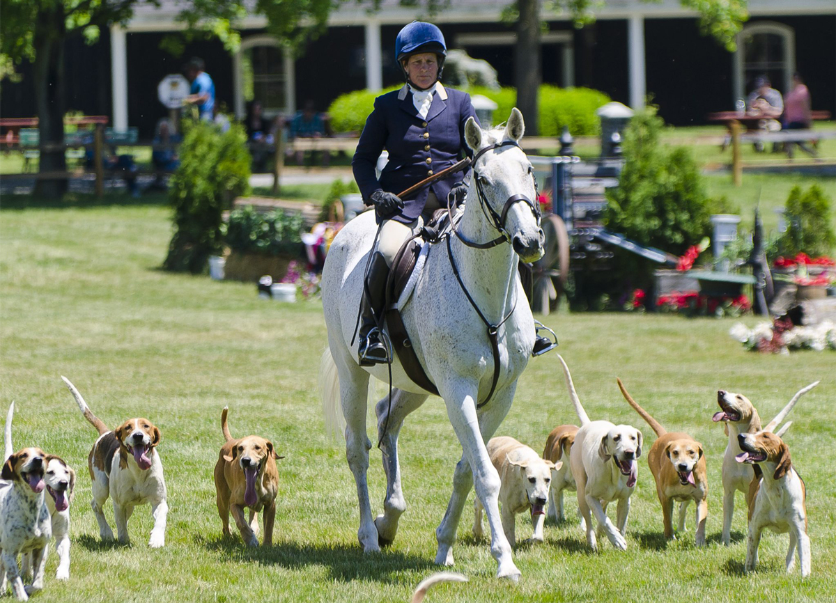 The Hunt - The Plaid Horse Magazine
