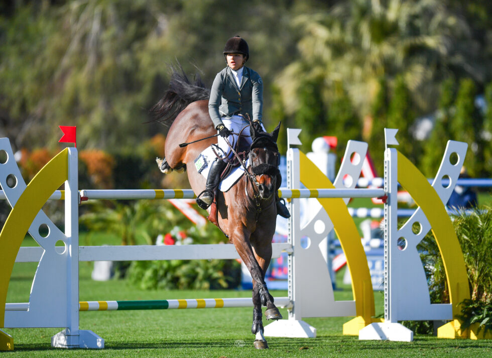 Nintendo and Megan McDermott Make a Memory in $32,000 Barnwalkers CSI3 ...