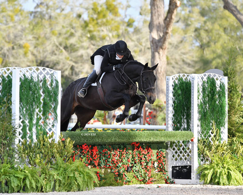 Pendleton Pins First with Jennifer Alfano in $10,000 SmartPak USHJA ...