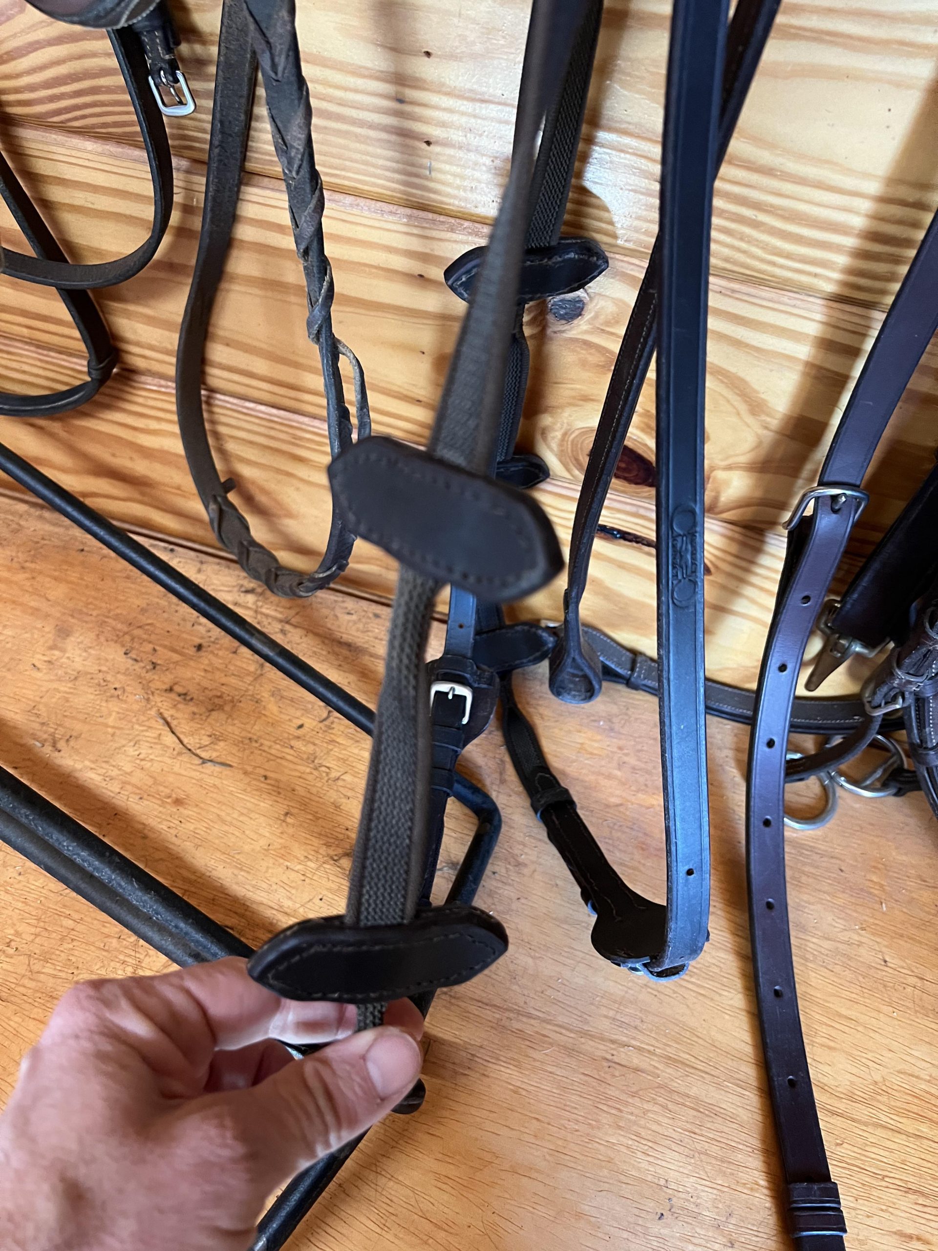 Trainer Tuesday: What are some ways to help riders learn to close their ...