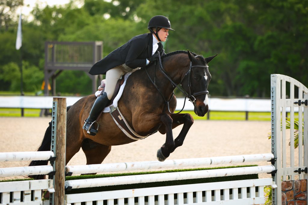 Lucio and Shannon E. Hicks Win the $5,000 USHJA National Hunter Derby ...