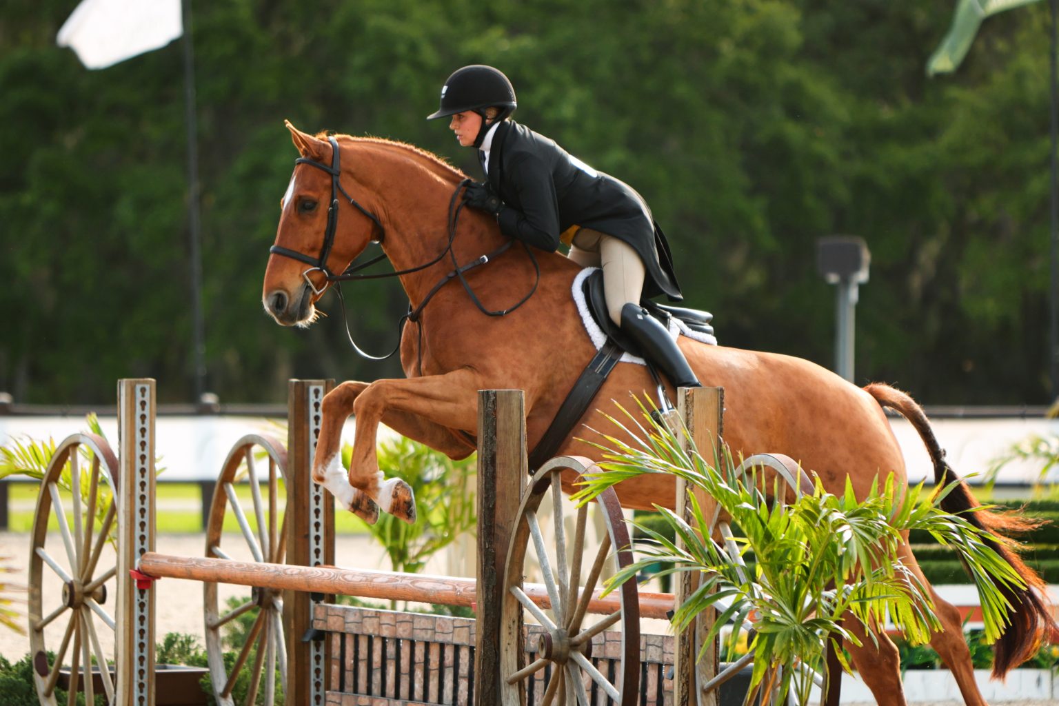 Lucio and Shannon E. Hicks Win the $5,000 USHJA National Hunter Derby ...