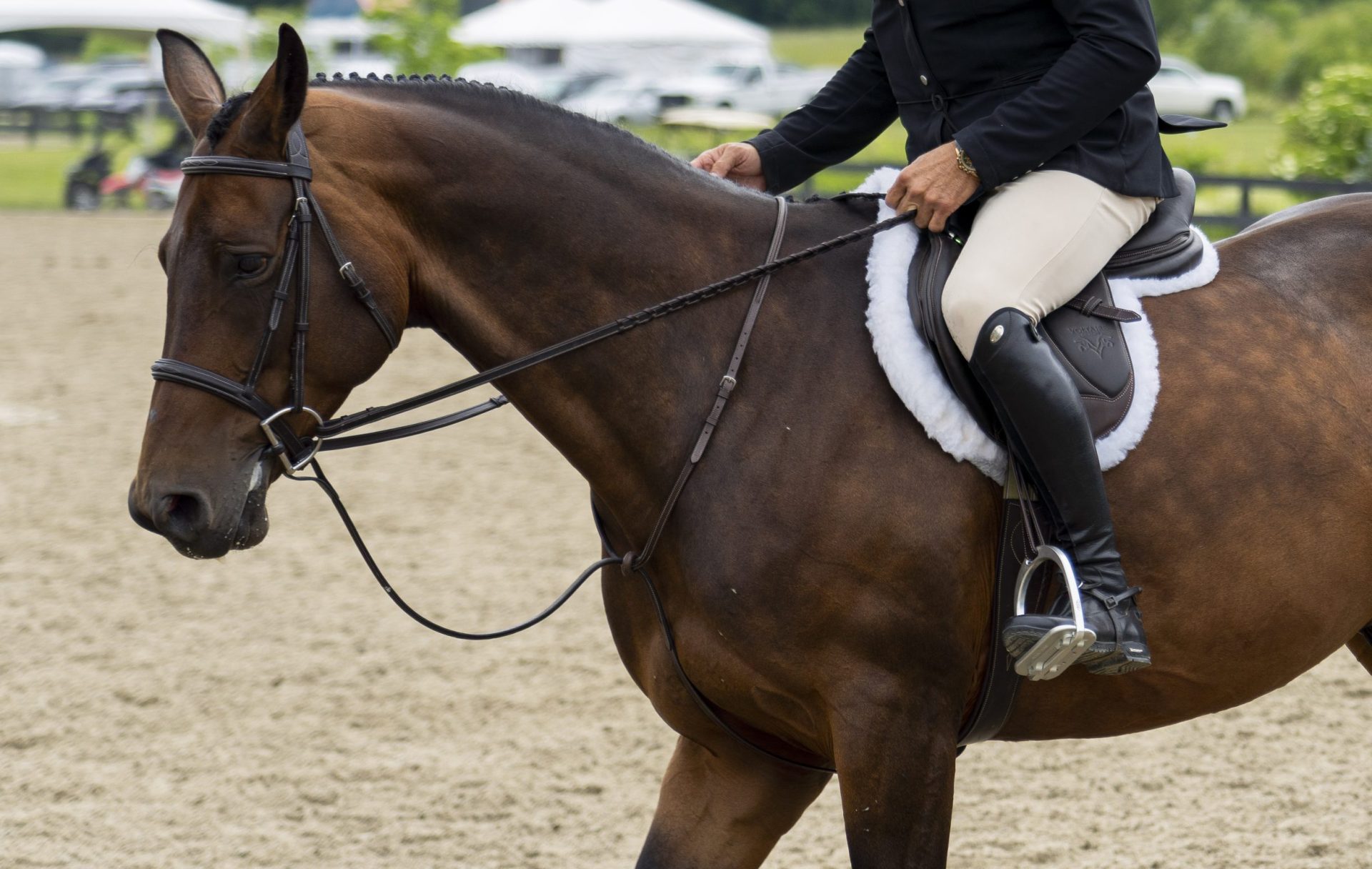 Trainer Tuesday: How do you help a rider who can't keep their hands ...