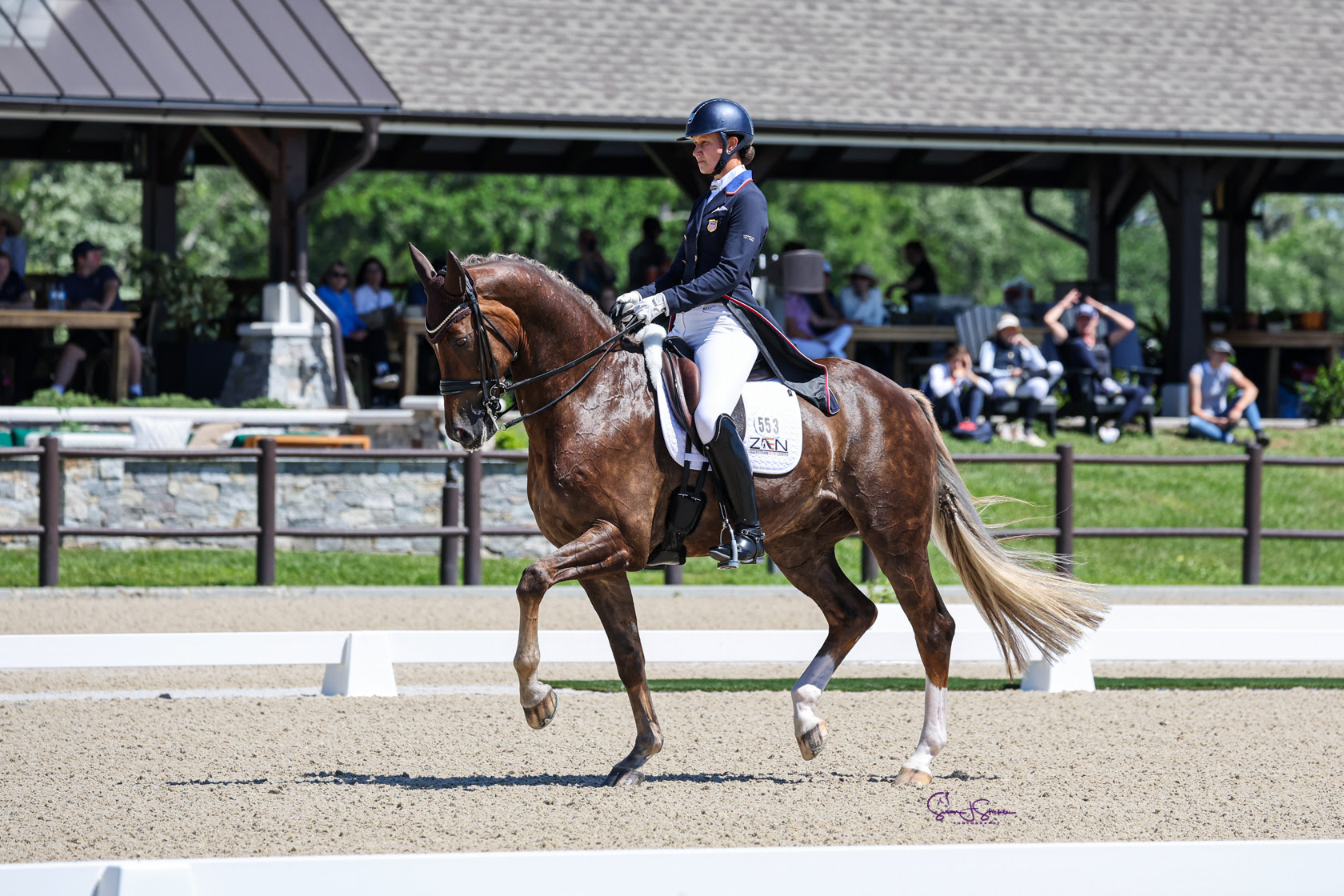 Helix and Adrienne Lyle are Victorious in Friday's CDI4* FEI Grand Prix ...