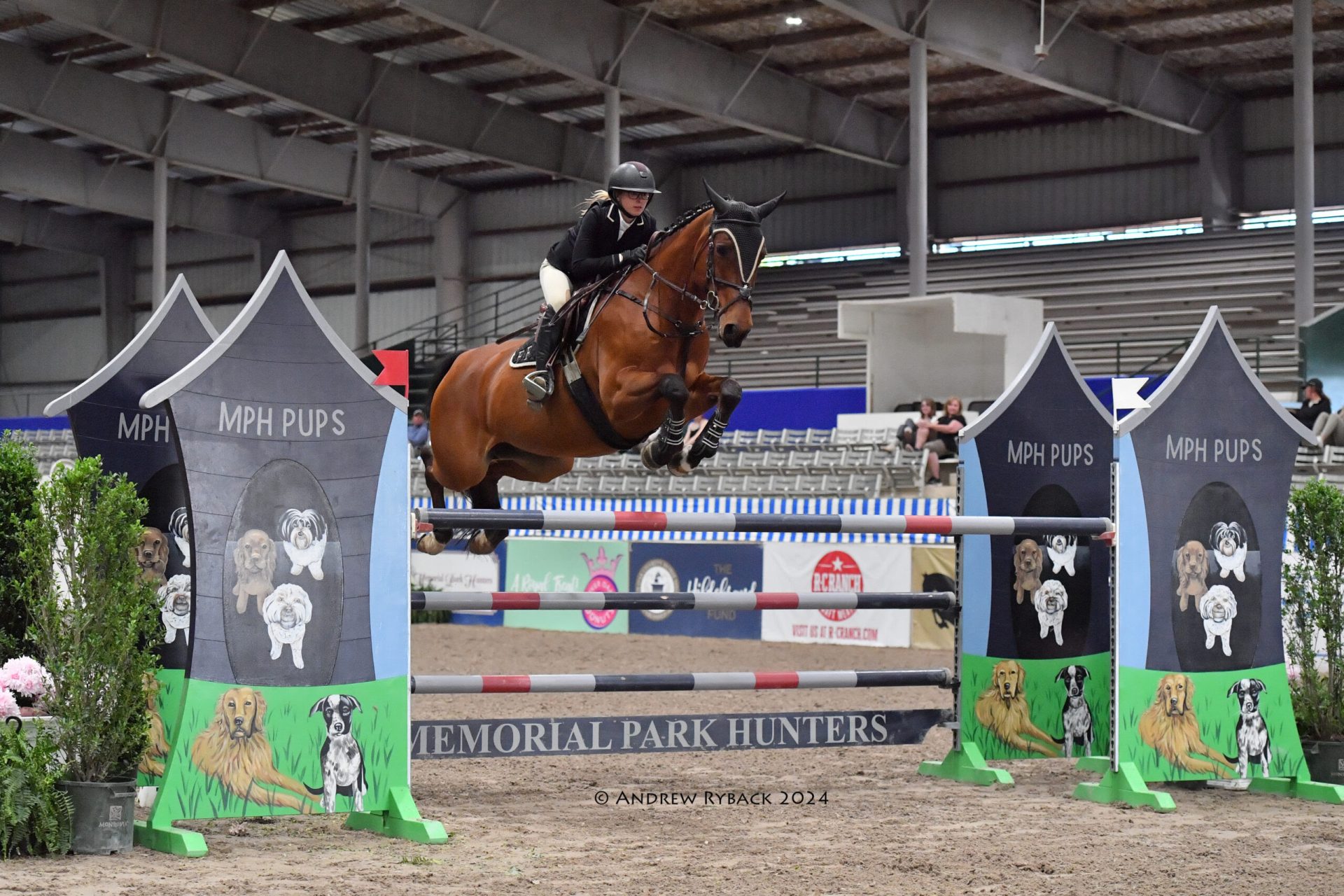 Candy of Picobello Z and Martien van der Hoeven Win the Welcome Again ...