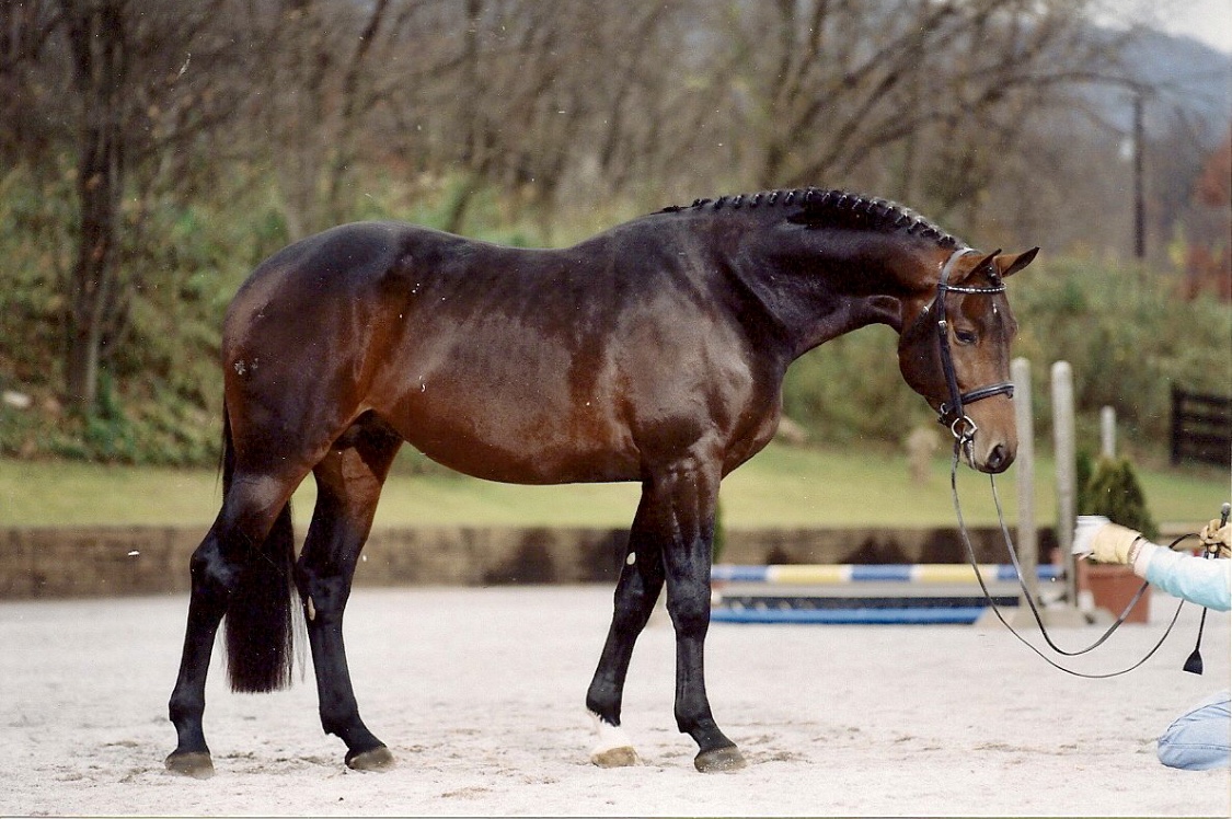 How Nicolette Merle-Smith is Carrying on the Legacy of Her Family Farm ...