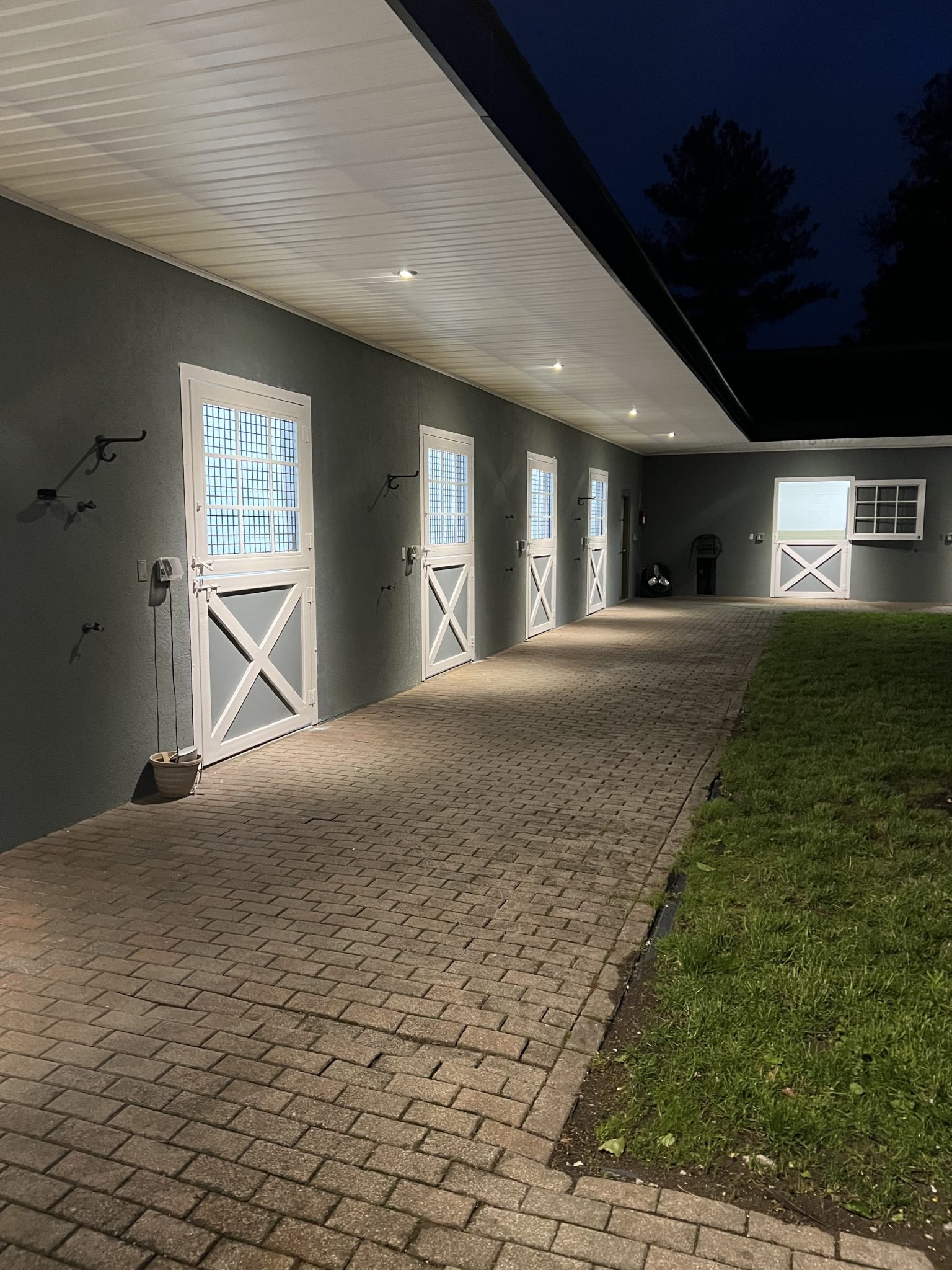 Entrepreneurship Meets Equestrian Excellence - The Plaid Horse Magazine