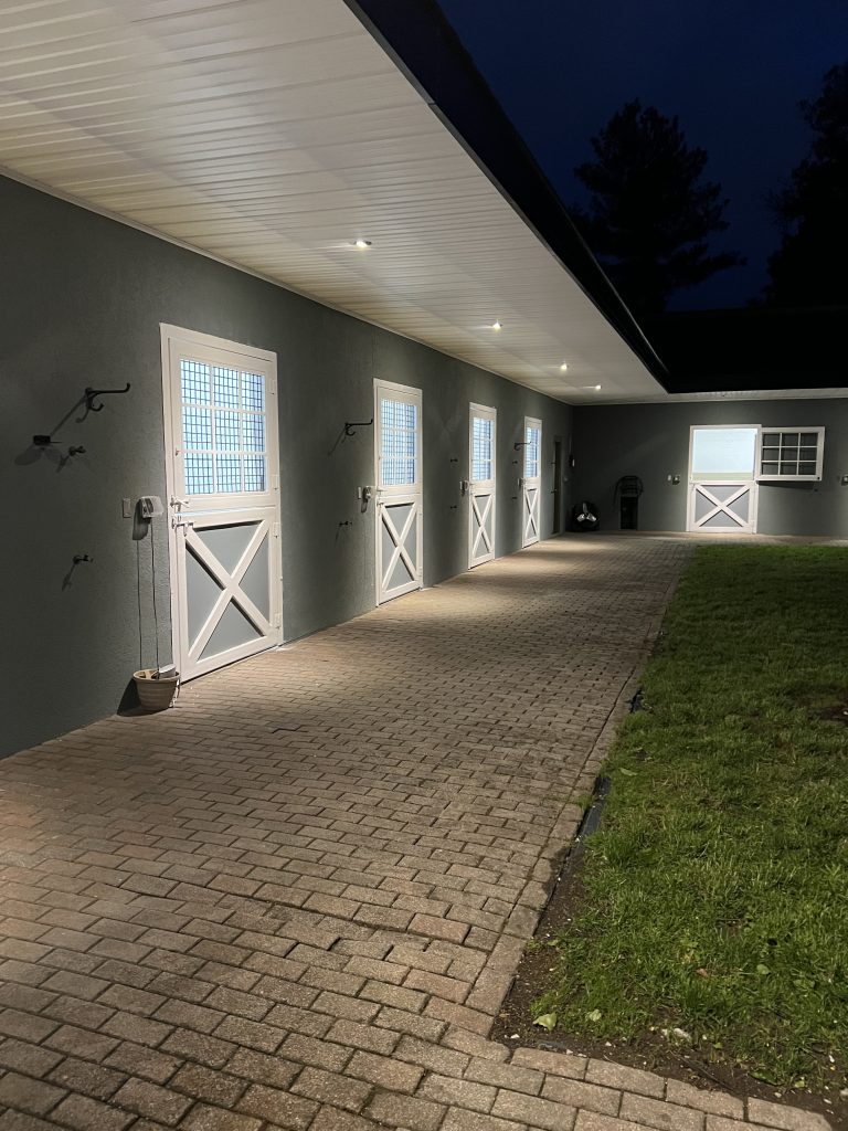 Entrepreneurship Meets Equestrian Excellence - The Plaid Horse Magazine