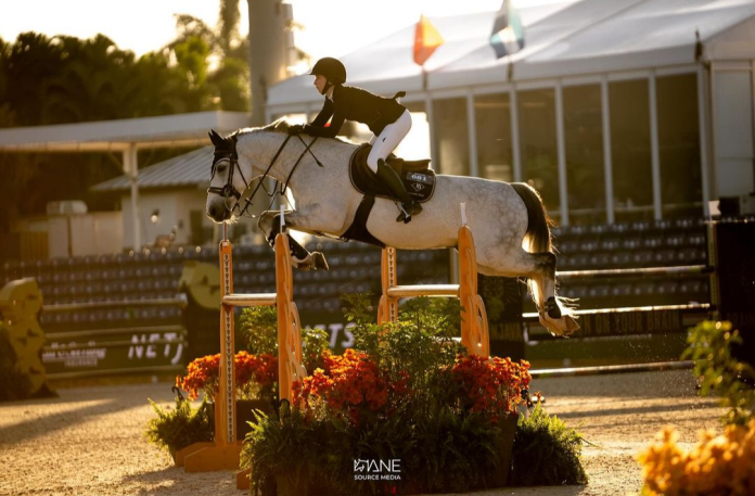 Isabelle Ehman Wins March’s Show Jumping Hall of Fame Rider of the ...