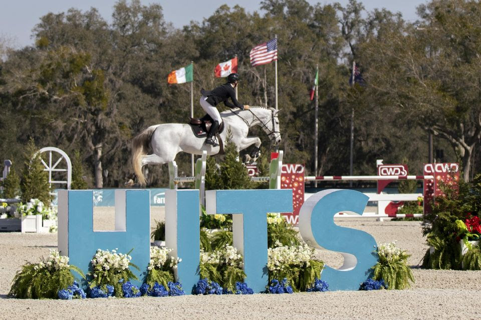 Wordley Martin Launches New Website With E-Commerce Capability - The ...