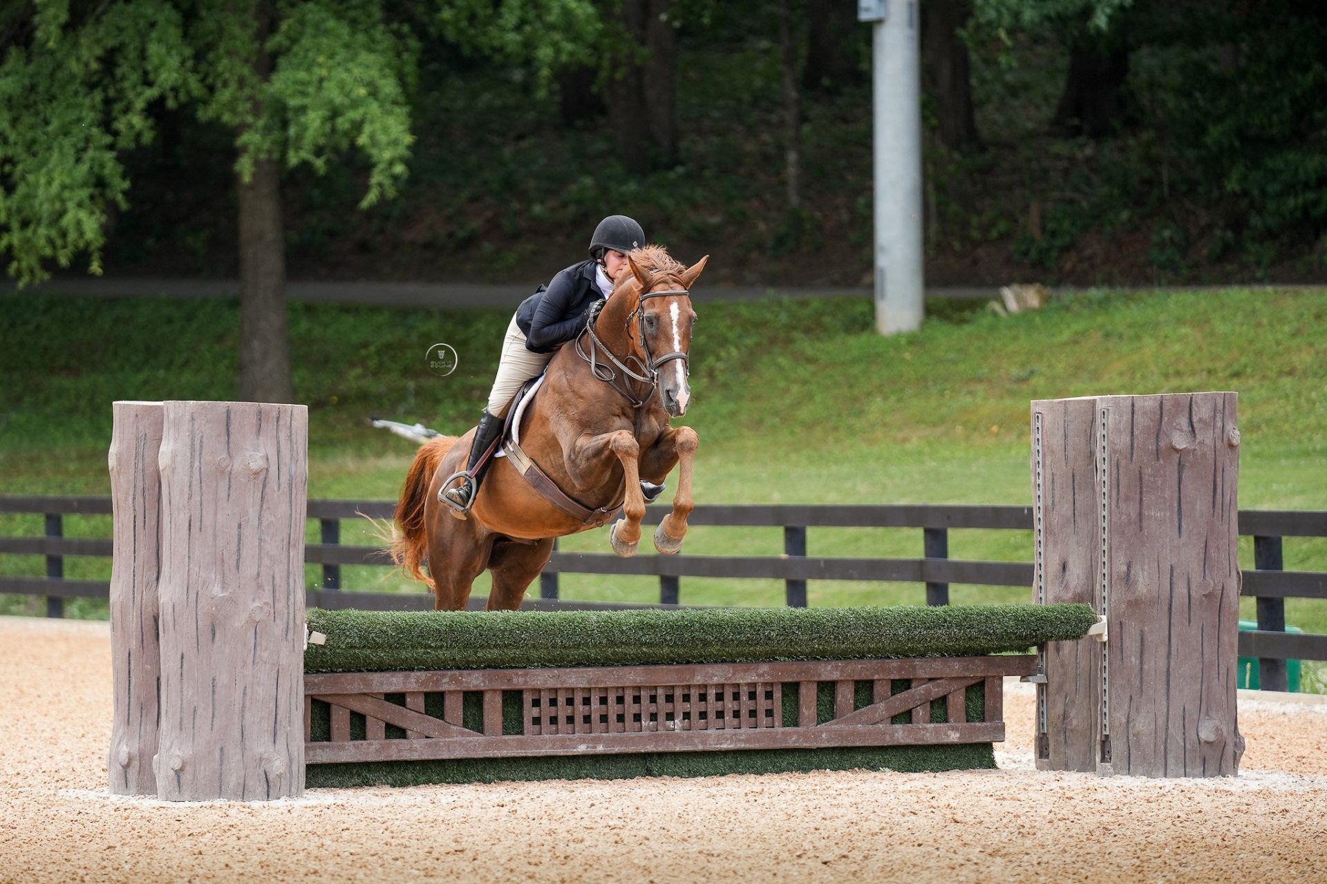 PBEC Success Story: Treating All of the Factors - The Plaid Horse Magazine