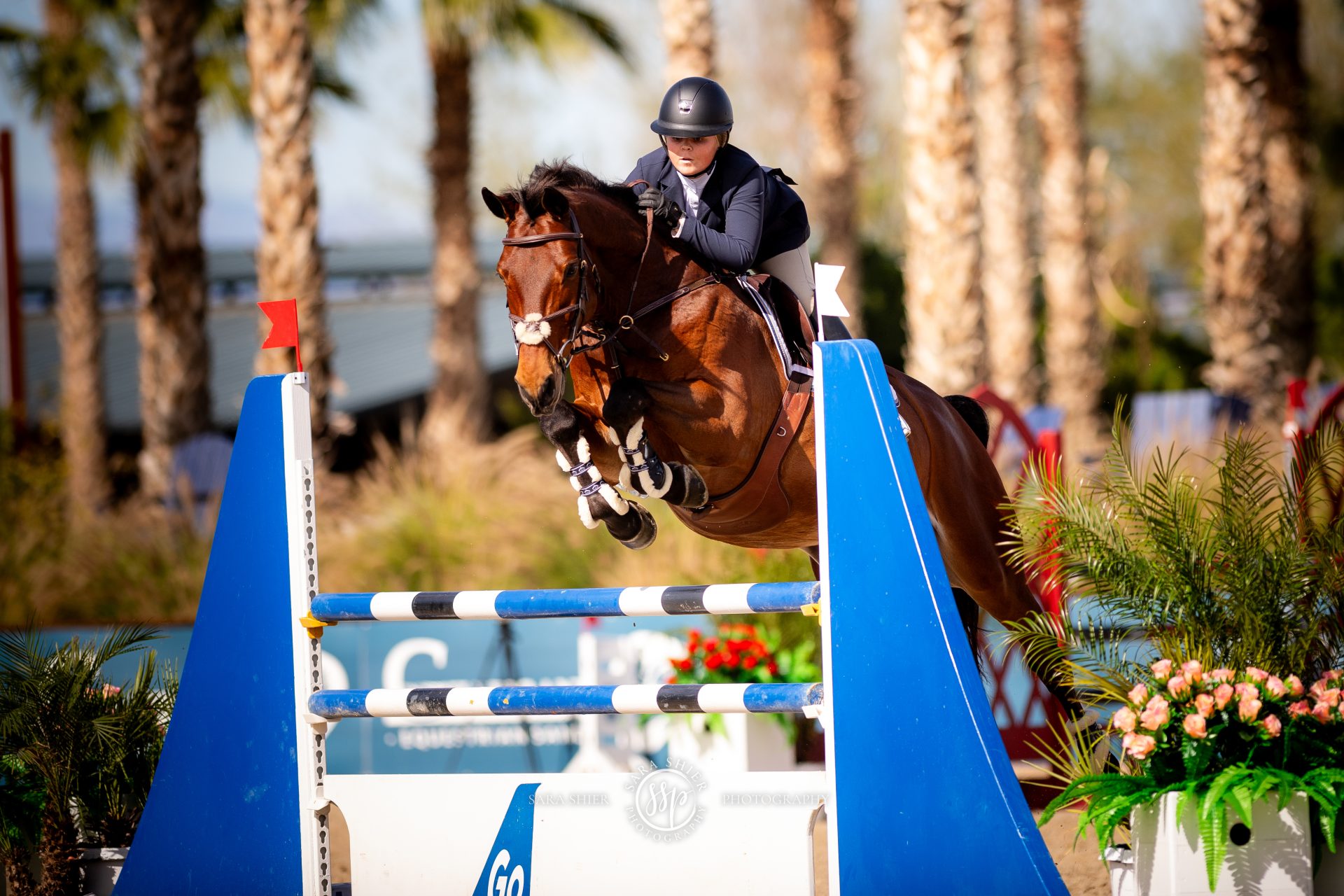 Violet Tatum “It’s Important to Be Kind” - The Plaid Horse Magazine