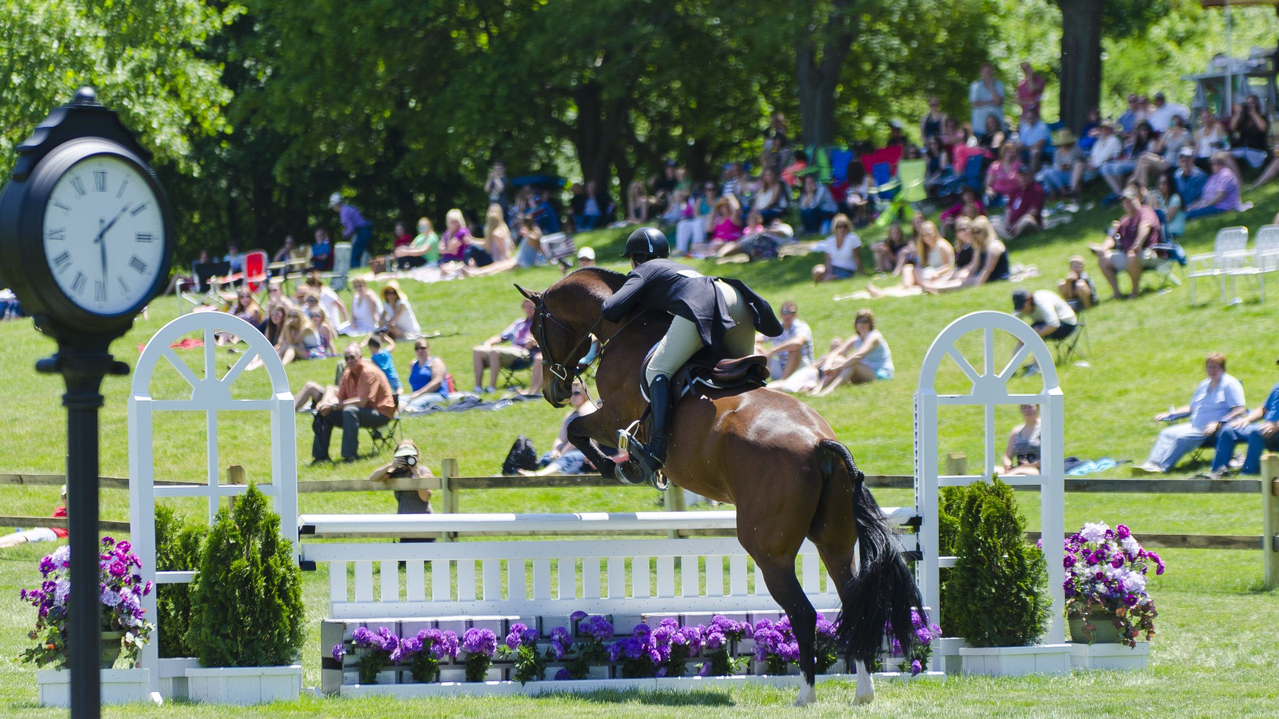 Trainer Tuesday: If a horse gets weak to the first jump, how would you ...