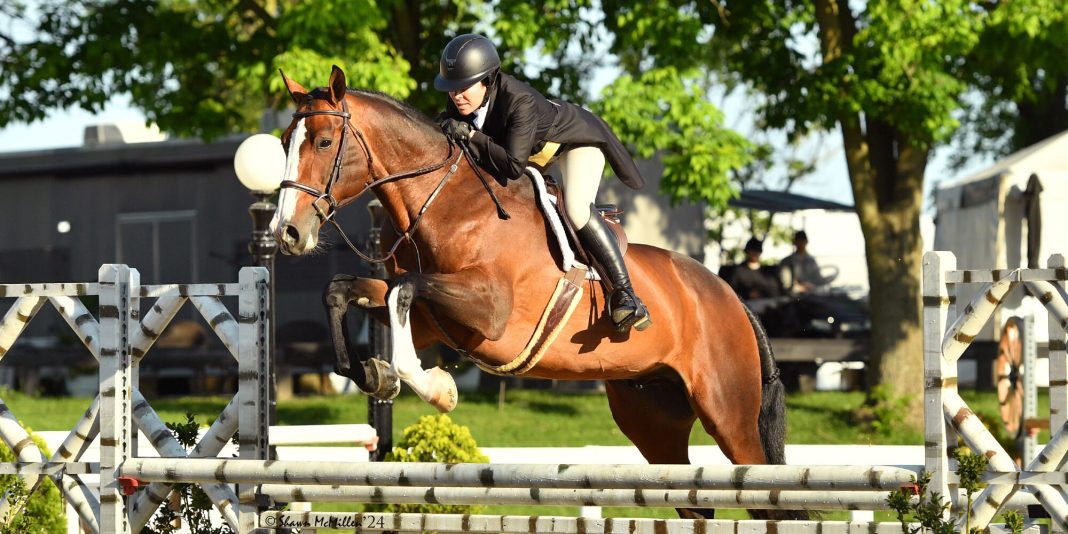 FF Blade Runner and Jill Gaffney Triumph in $10,000 USHJA International ...
