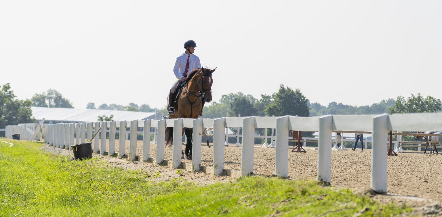 How to Start Your Horse Business the Right Way - The Plaid Horse Magazine