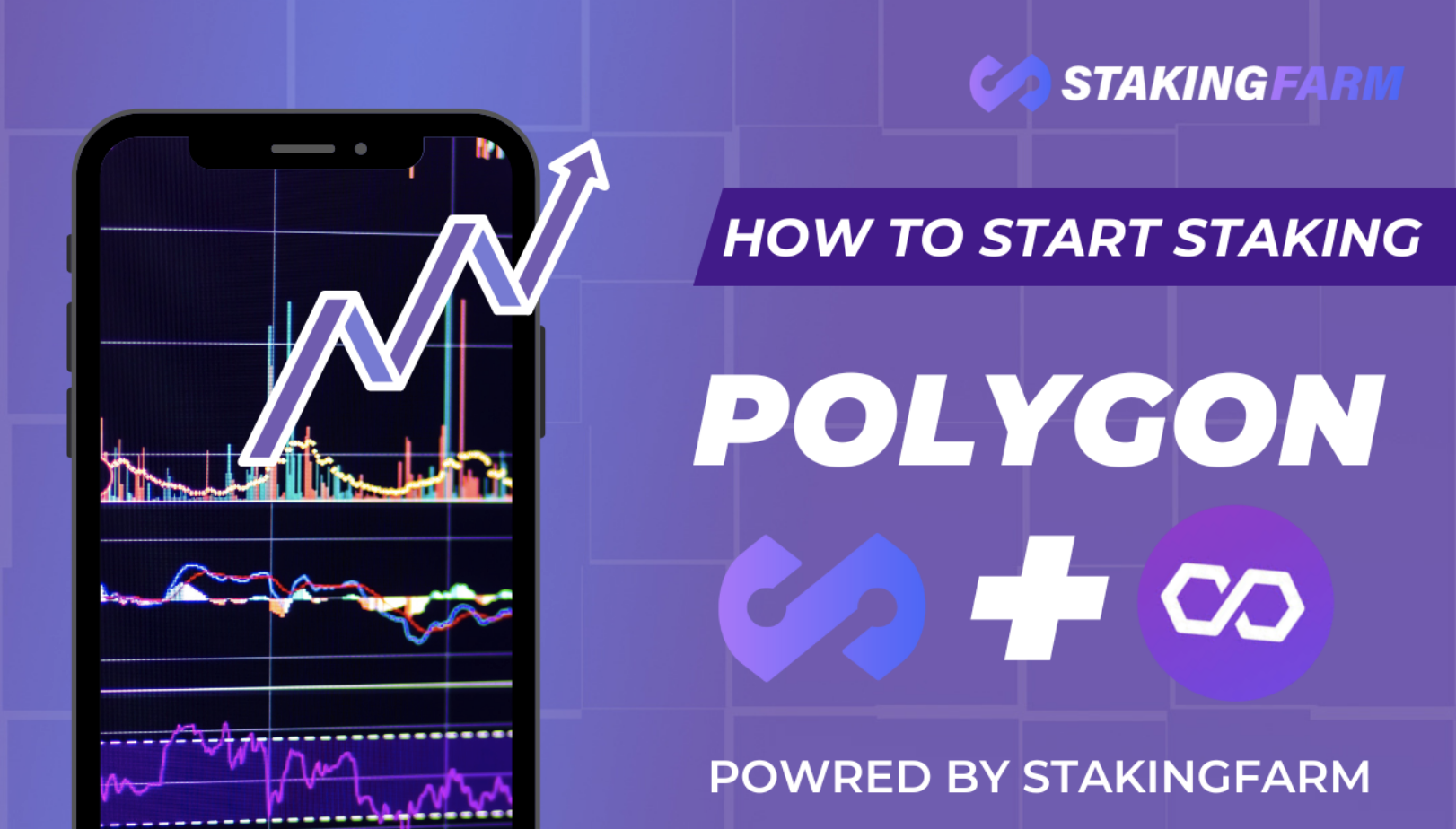 How to Start Staking Polygon Today - The Plaid Horse Magazine