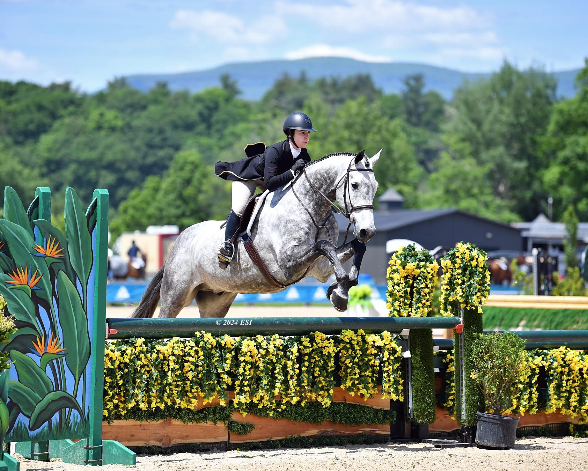 USHJA National Hunter Derbies Take Over Hudson Valley With Professional ...