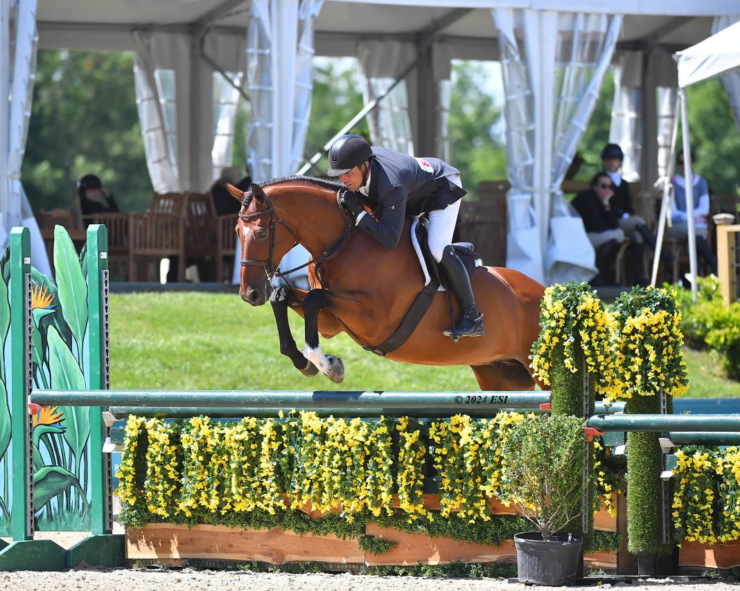 USHJA National Hunter Derbies Take Over Hudson Valley With Professional ...