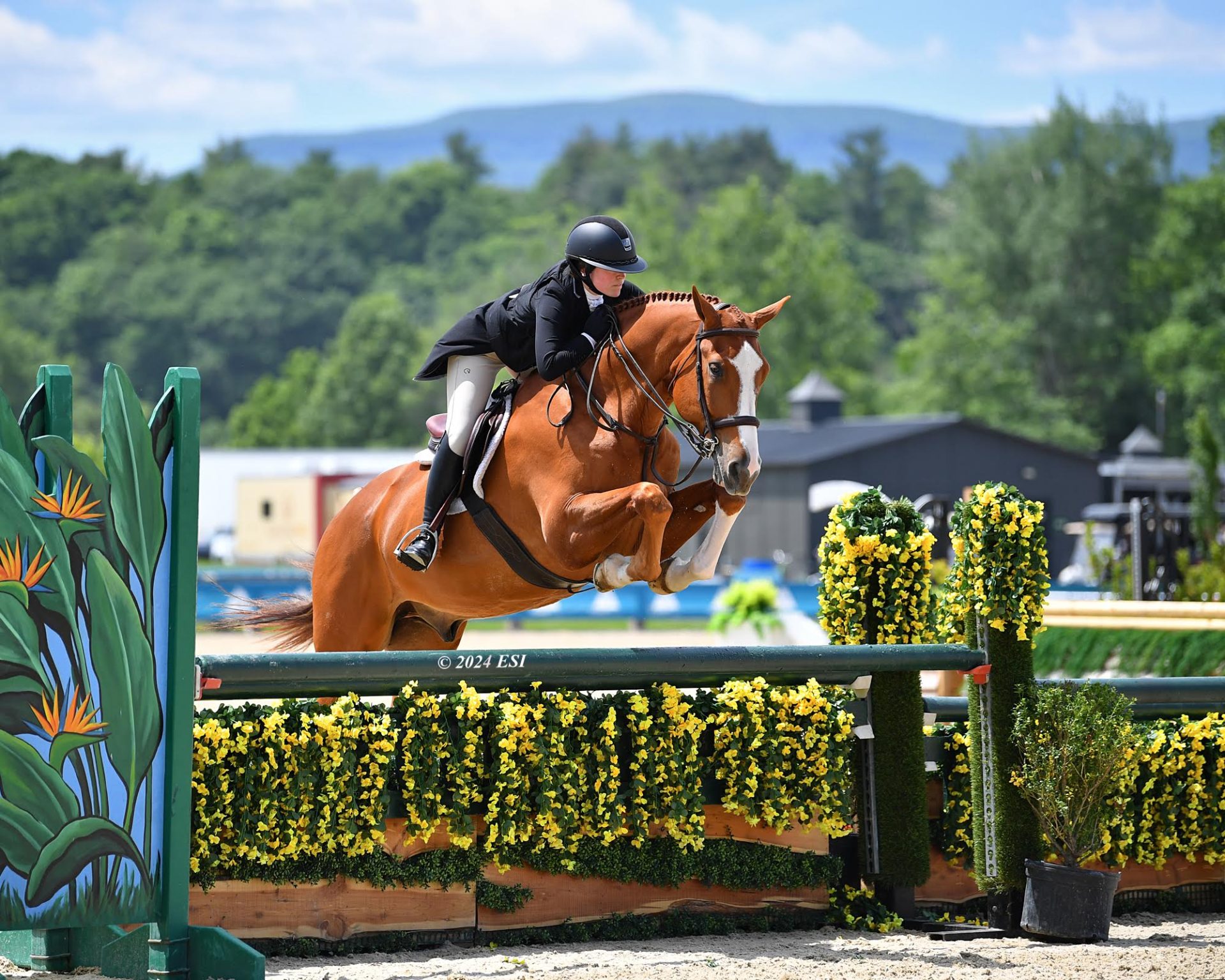 USHJA National Hunter Derbies Take Over Hudson Valley With Professional ...