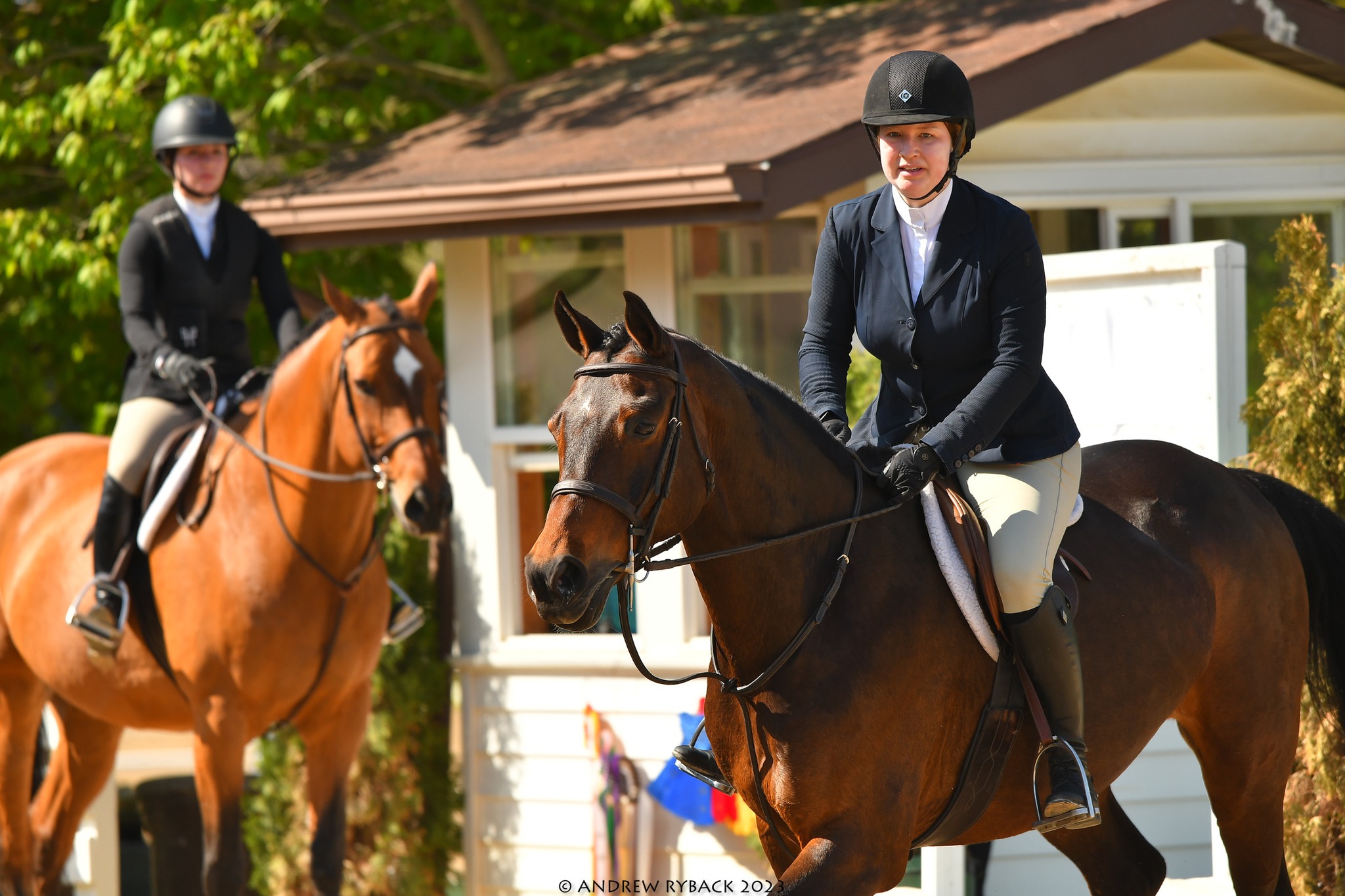 Overthinking, Intuition, and Instincts as Equestrians - The Plaid Horse ...