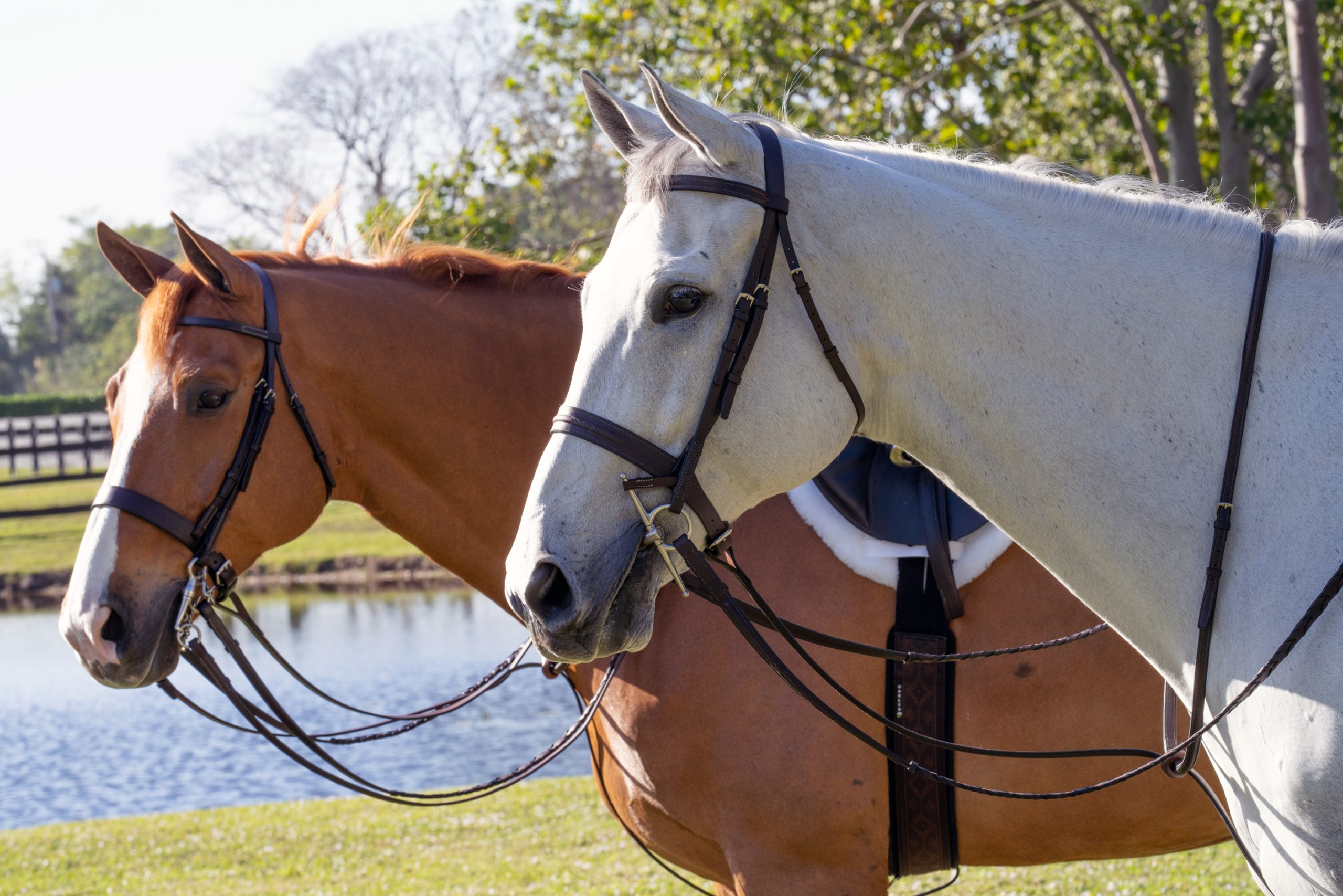 The In Gate: A Unique Approach to Luxury Equestrian Retail - The Plaid ...