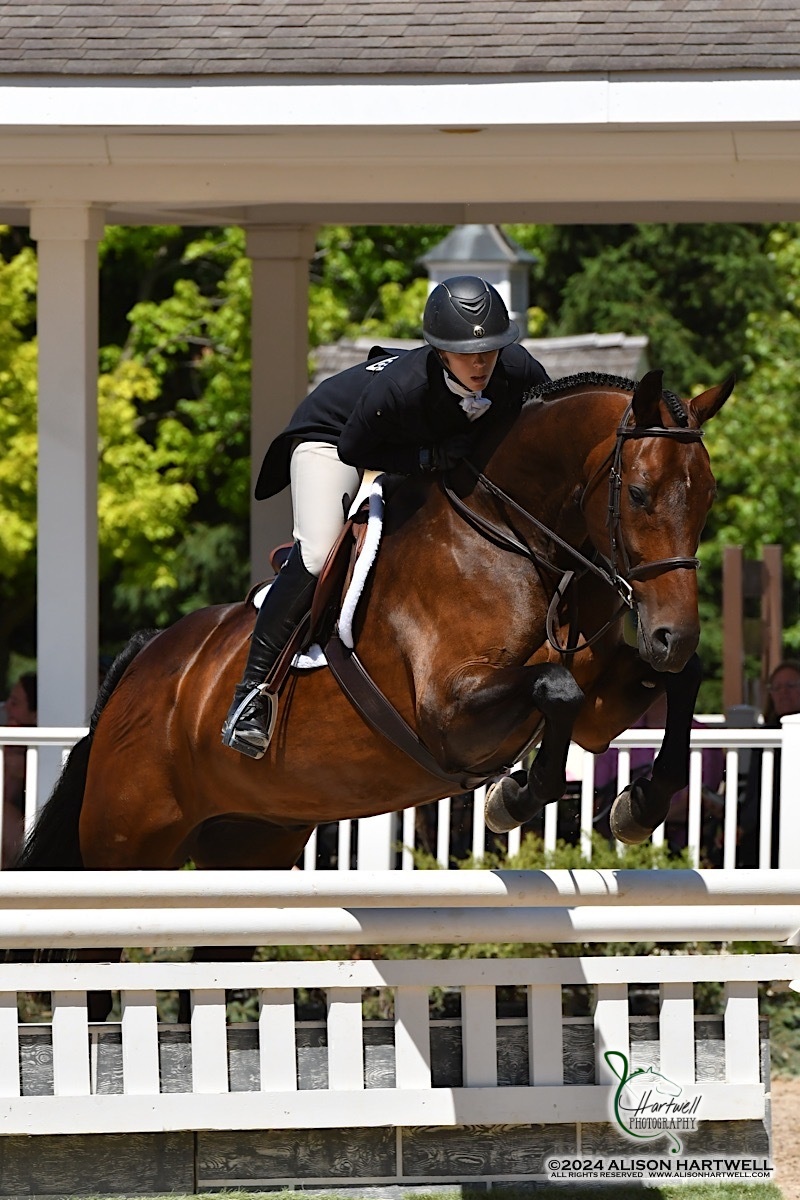 Gabrielli and Danielle Urban Shine in $5,000 USHJA National Hunter ...