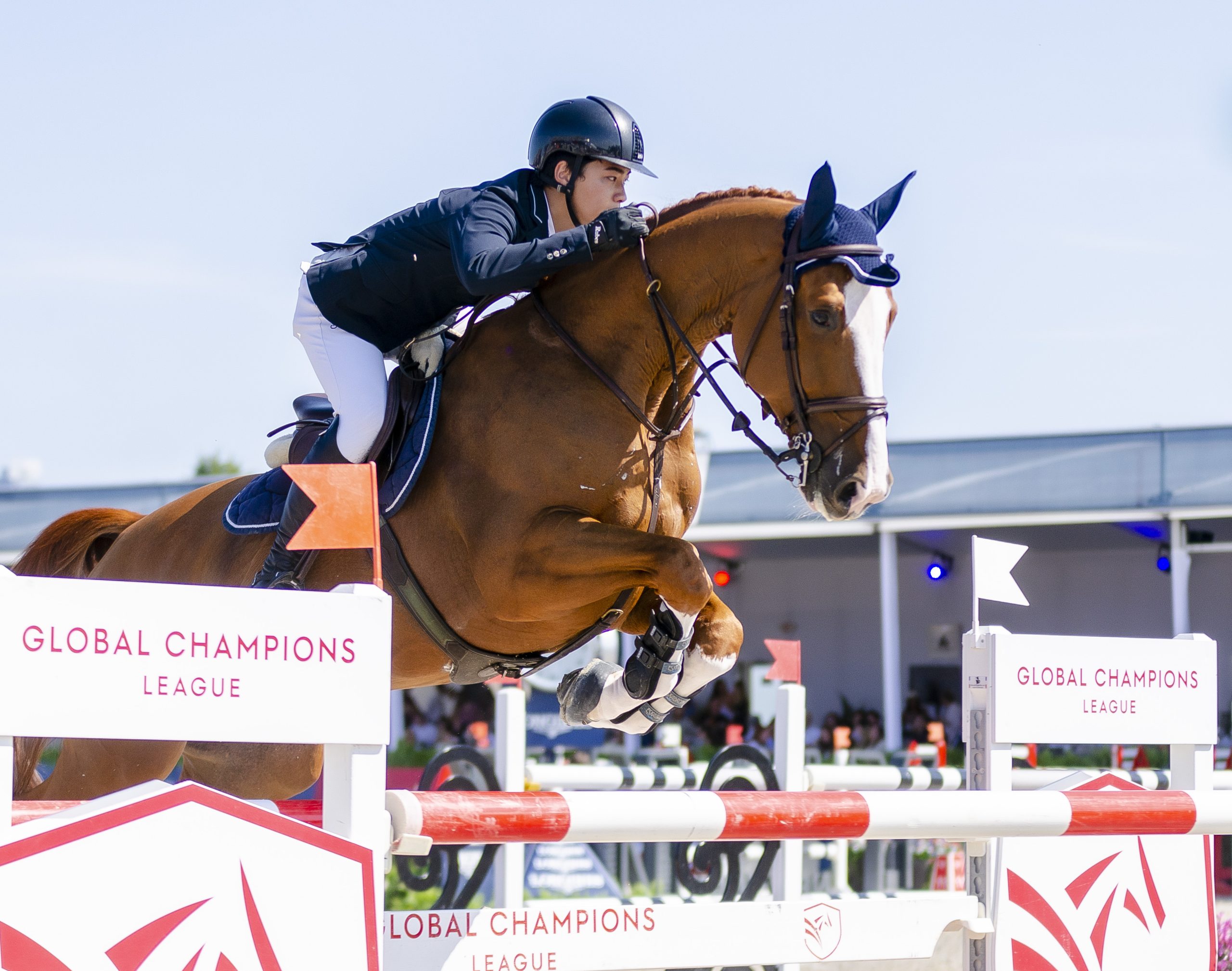 Inside the Global Nature of Olympic Hopeful Horses - The Plaid Horse ...