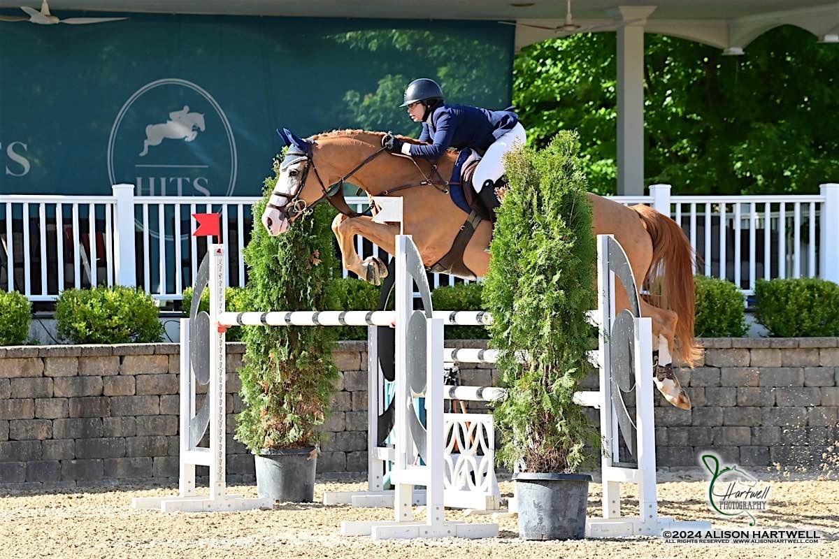 Balveneur Z and Linda Radigan Triumph in $20,000 Alliant Private Client ...