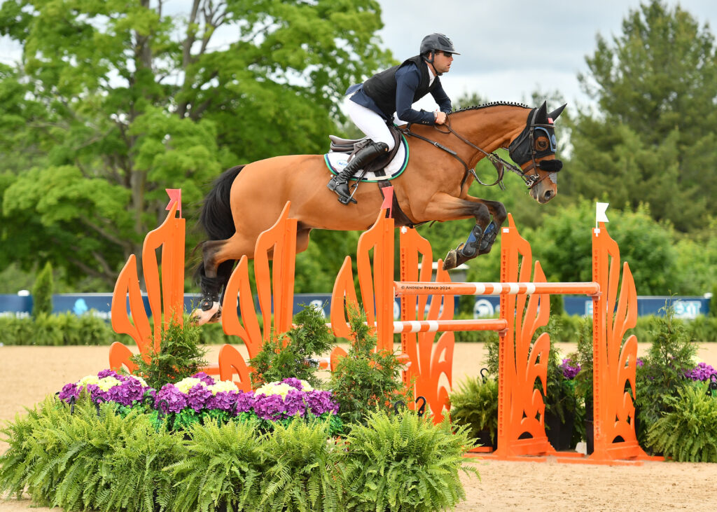 Margie Goldstein-Engle Plays Jackofhearts to Win FreeJump CSI3* Welcome ...