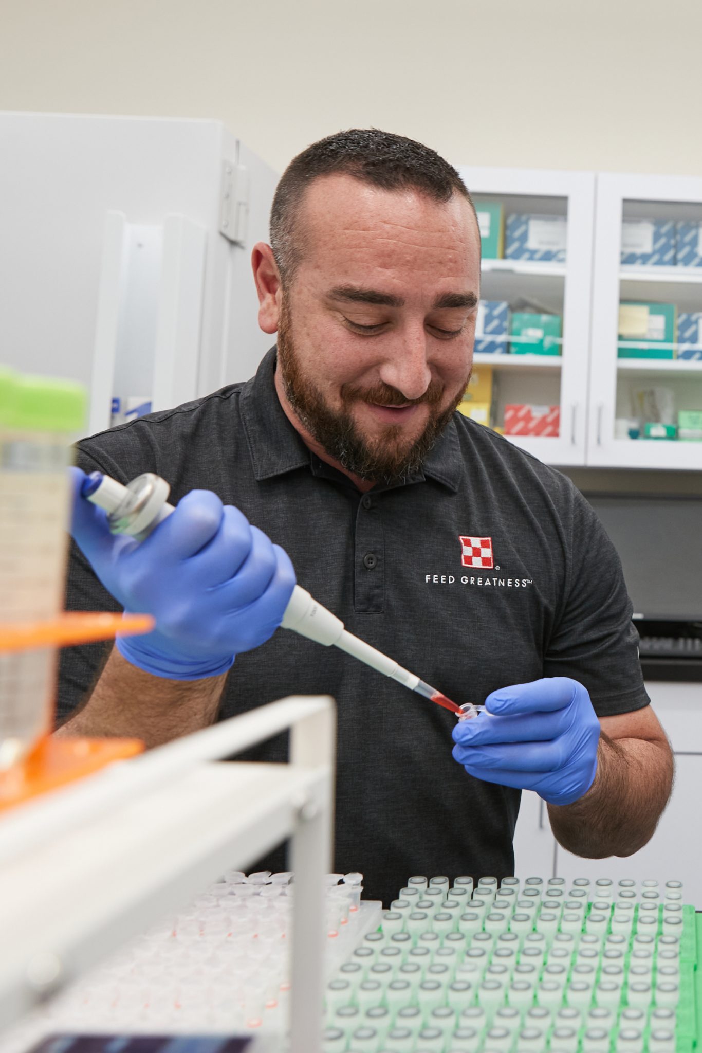 What is the Equine Microbiome? - The Plaid Horse Magazine