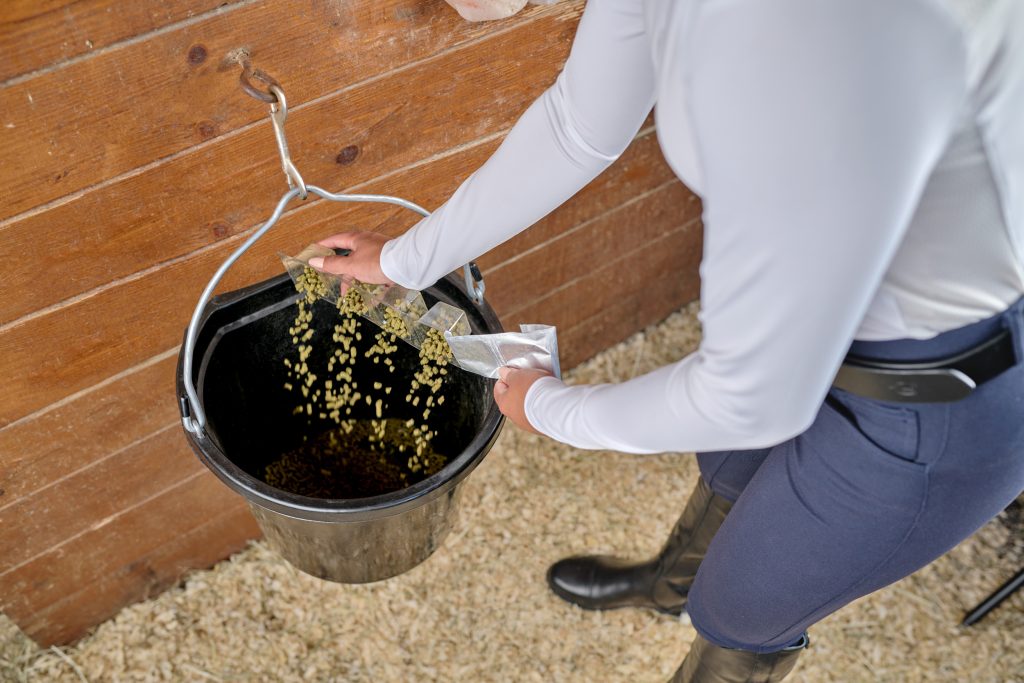 SmartPak Joint Health: Keeping Your Horse’s Joints Healthy is Key to ...