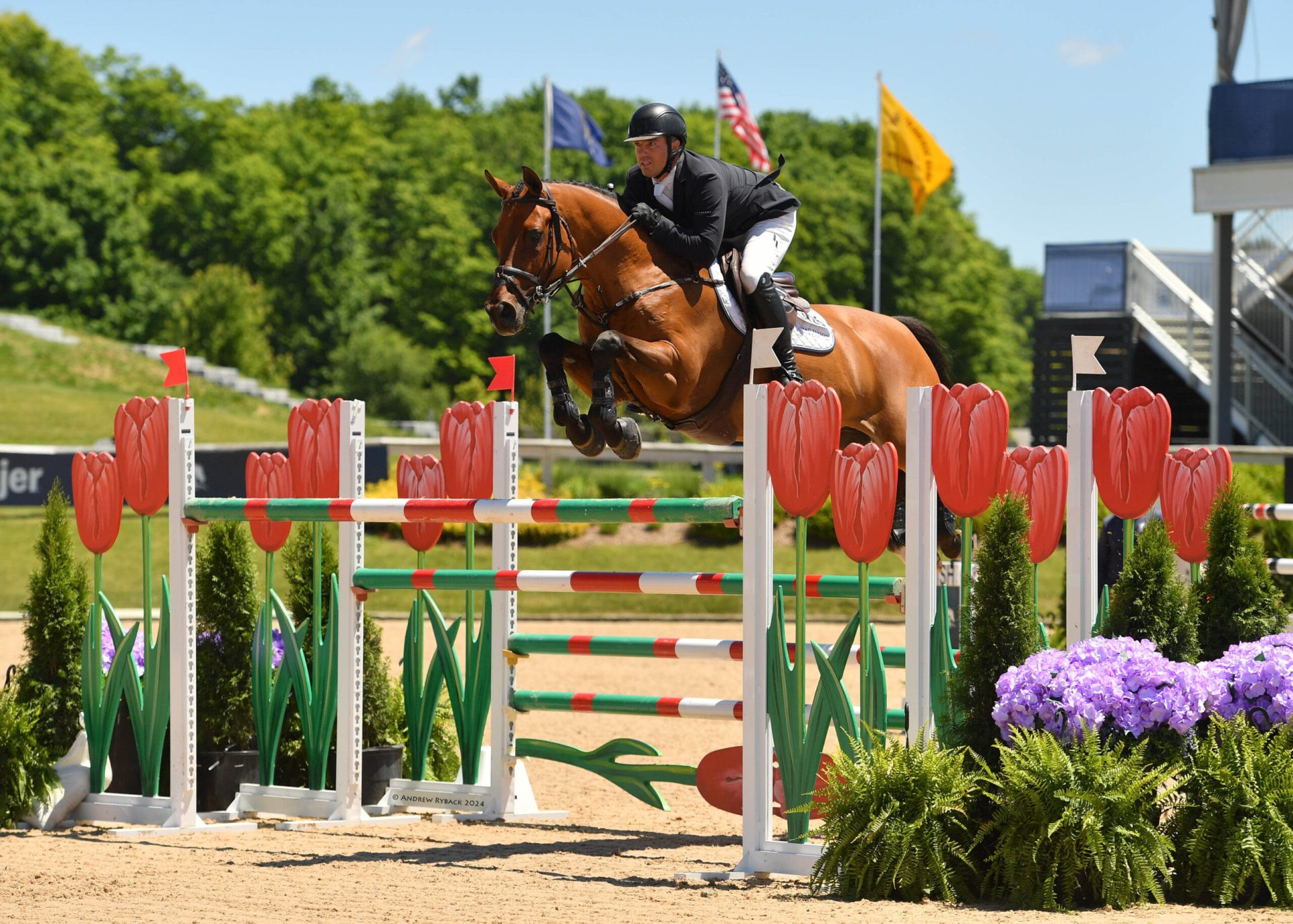 Alex Granato and Helios vd Nosahoeve Grab First in $63,000 CSI4 ...