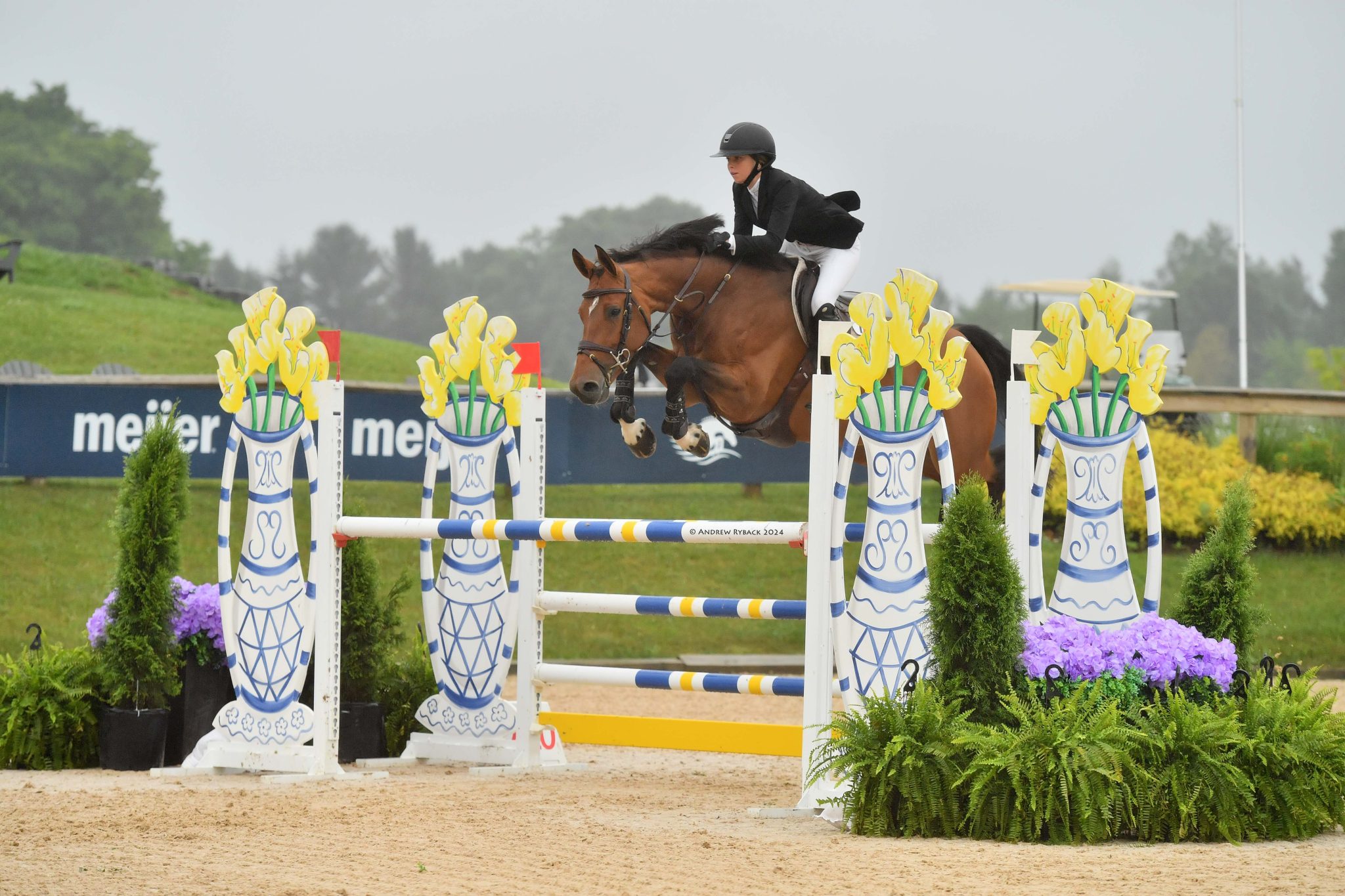 Clean Sweep for Elizabeth Rinehart and Amorem Rose in Markel/USHJA ...