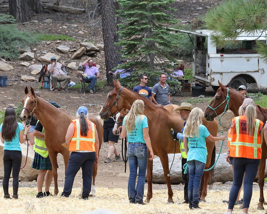 All in the Family: Mother-Daughter Duo Claim Tevis and Haggin Cup - The ...