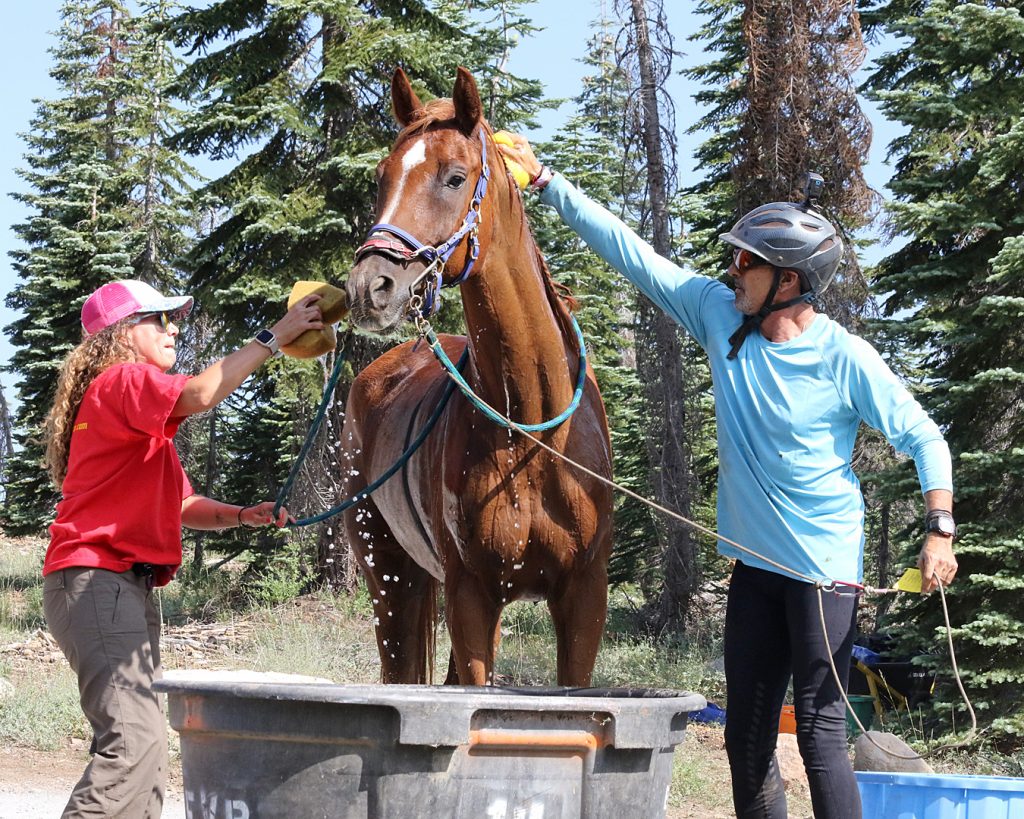 All in the Family: Mother-Daughter Duo Claim Tevis and Haggin Cup - The ...
