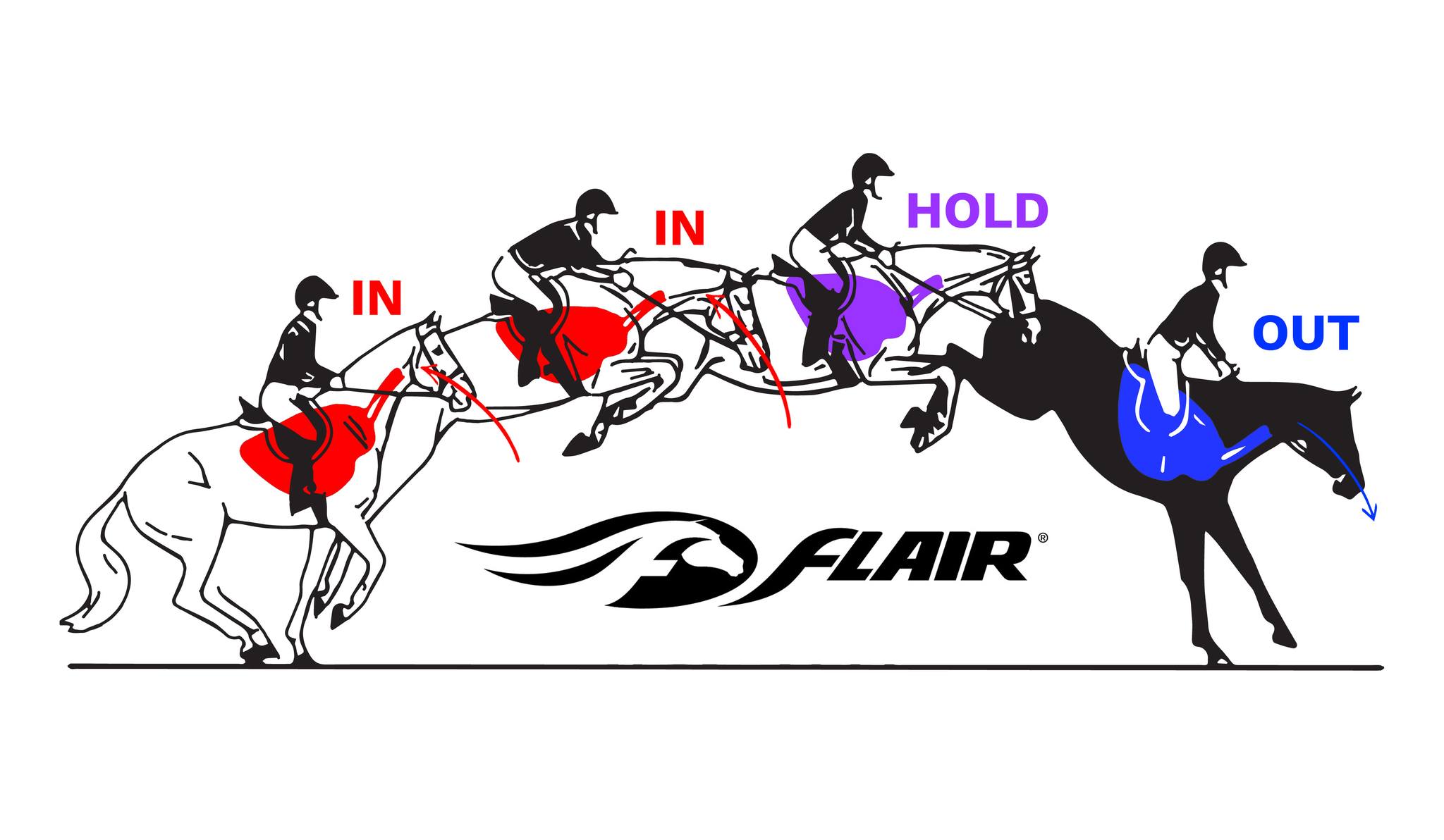 FLAIR Equine Nasal Strips: Improving Equine Athletes’ Airflow ...