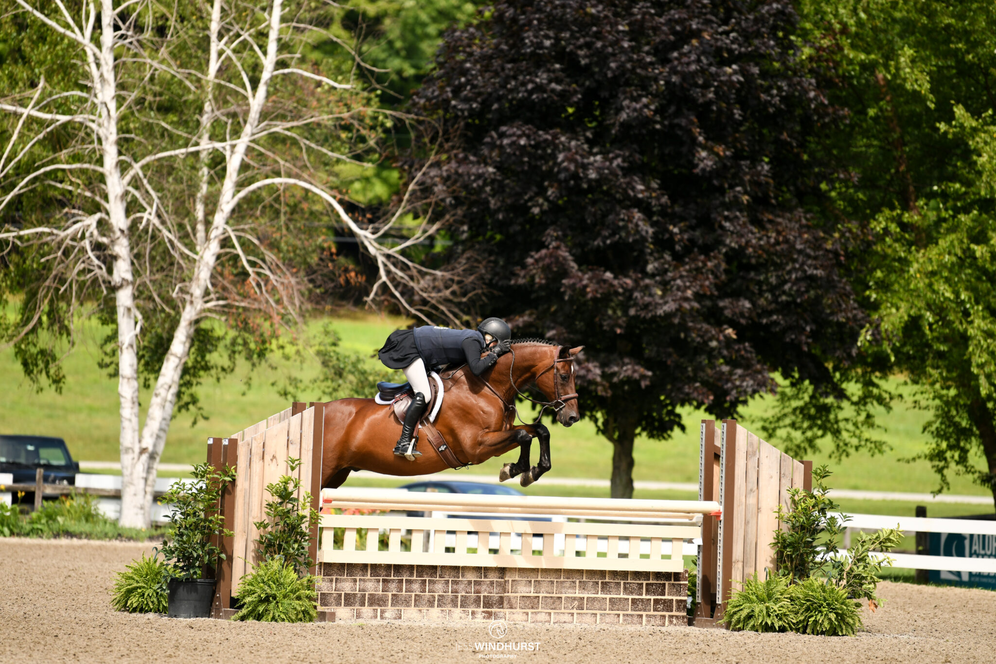 Another Week, Another Win for Morgan Ward and Comissario in the $5,000 ...